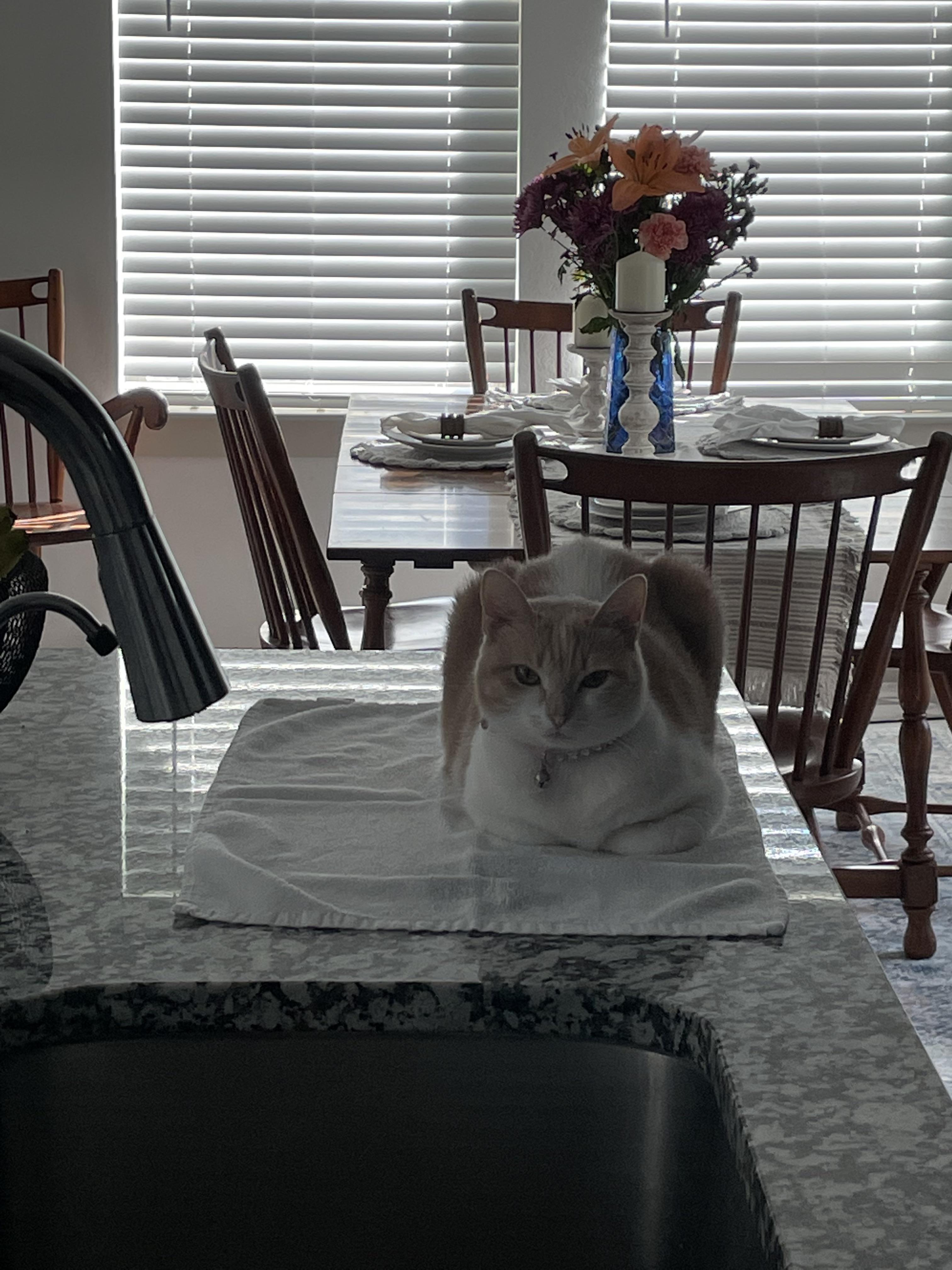 Sassy loaf | Scrolller