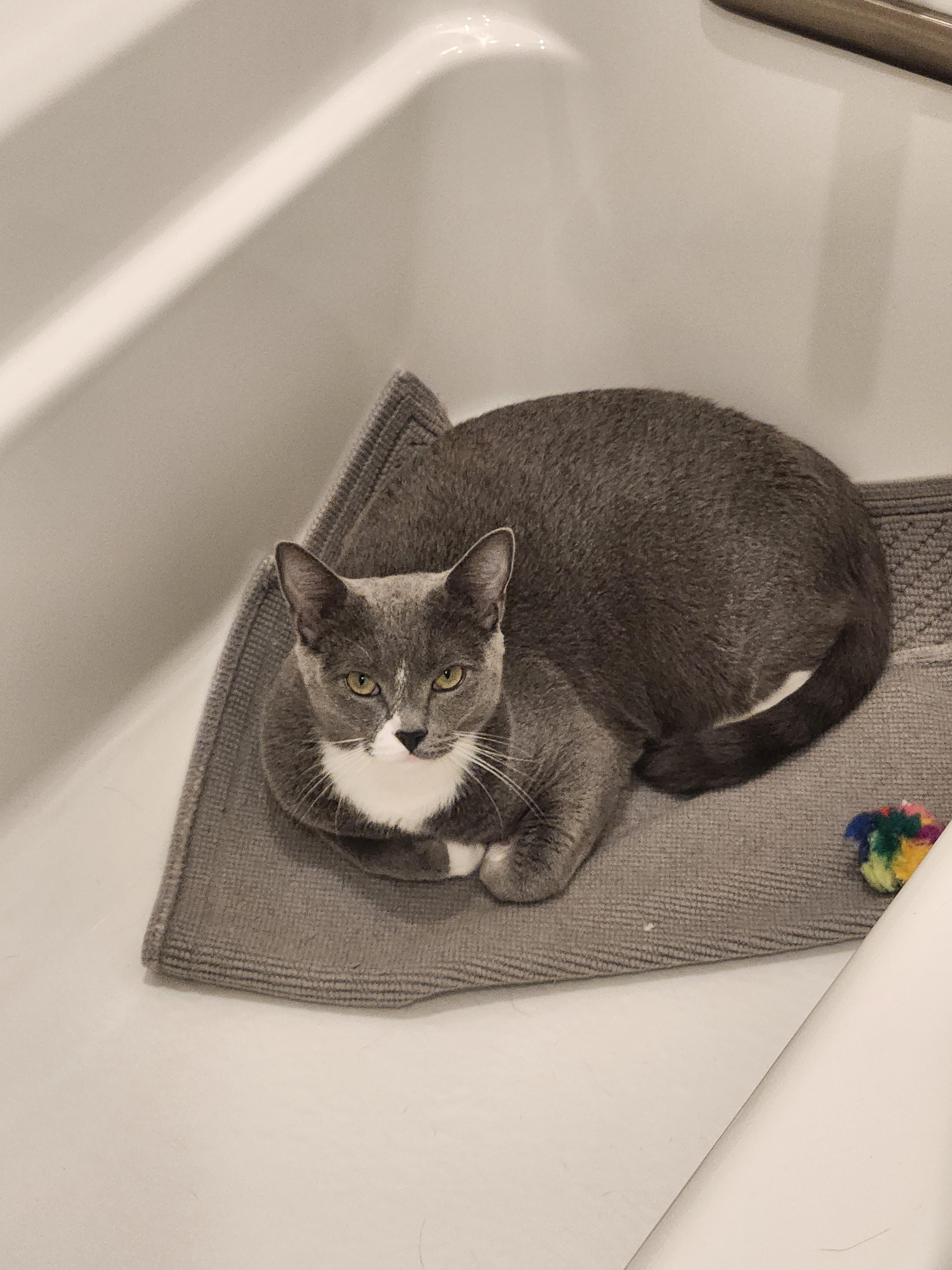 Patch's "lazy" bathtub loaf | Scrolller