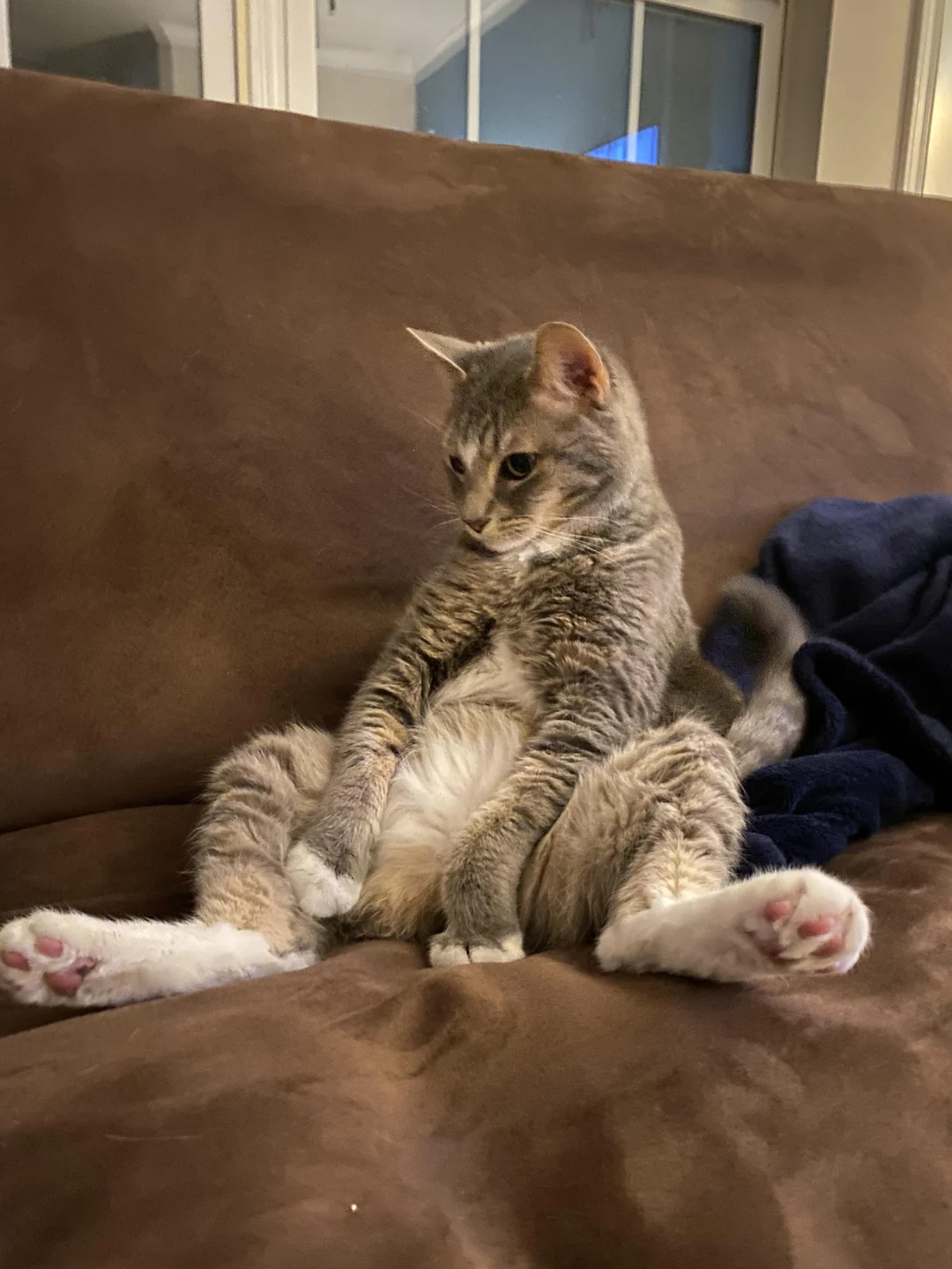 He’s an old soul | Scrolller