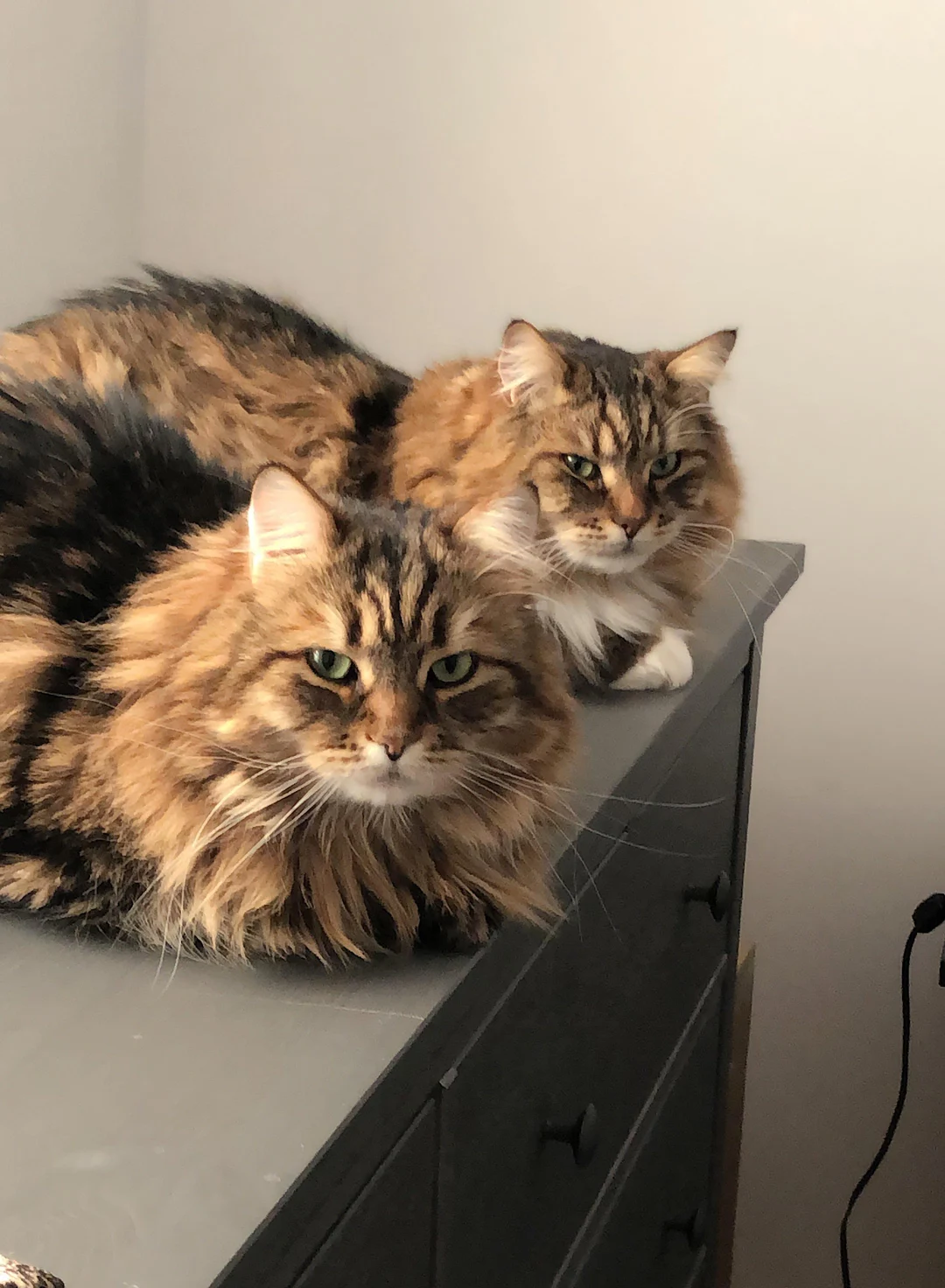 Bombastic side eye… | Scrolller