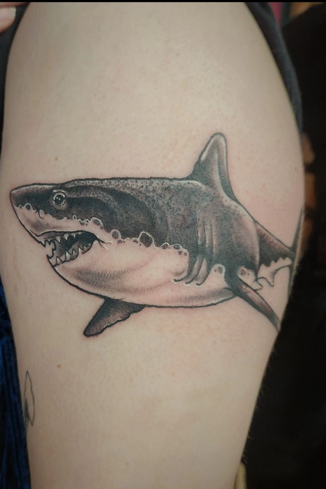 Tattoo done by @berserker_barbie at Fever Dream Tattoo | Scrolller