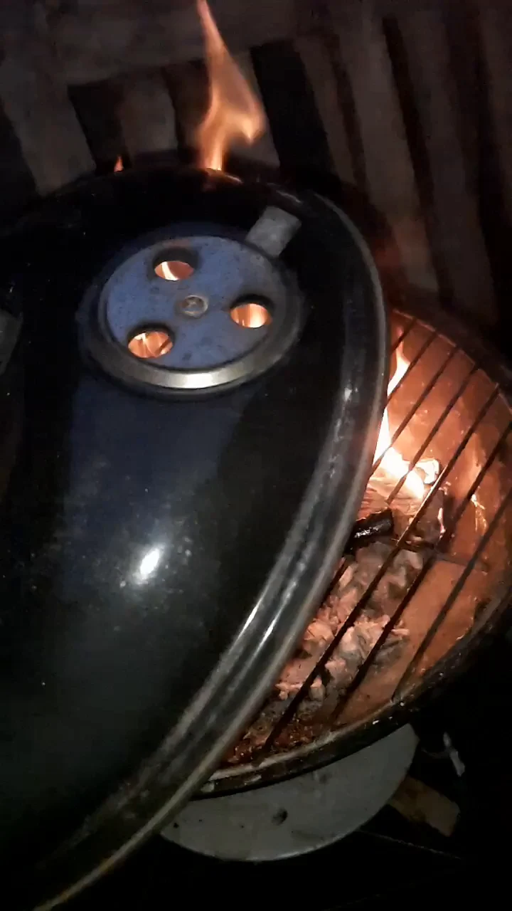 Grill season has started (NL) | Scrolller
