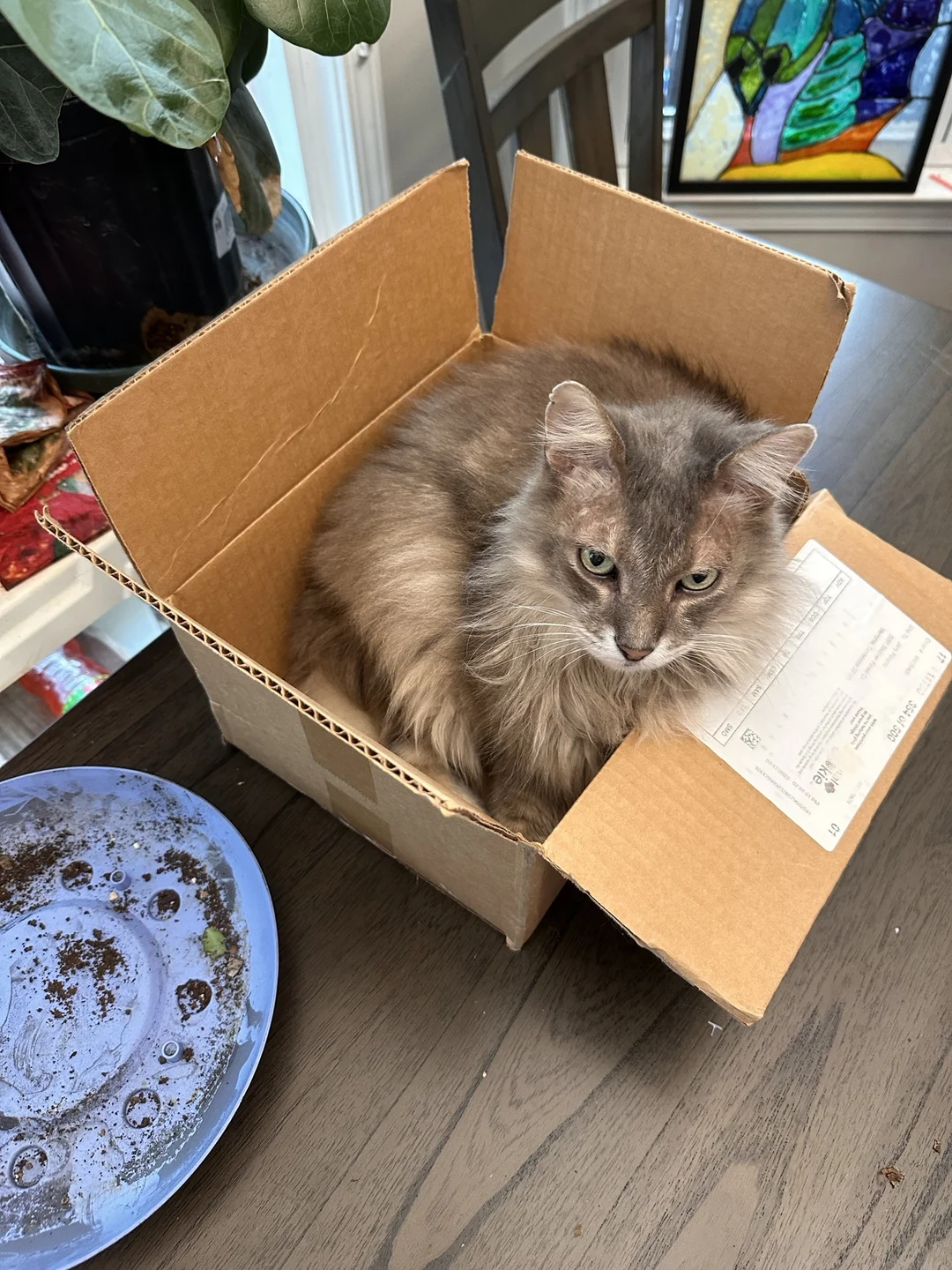 Just squeezing in | Scrolller