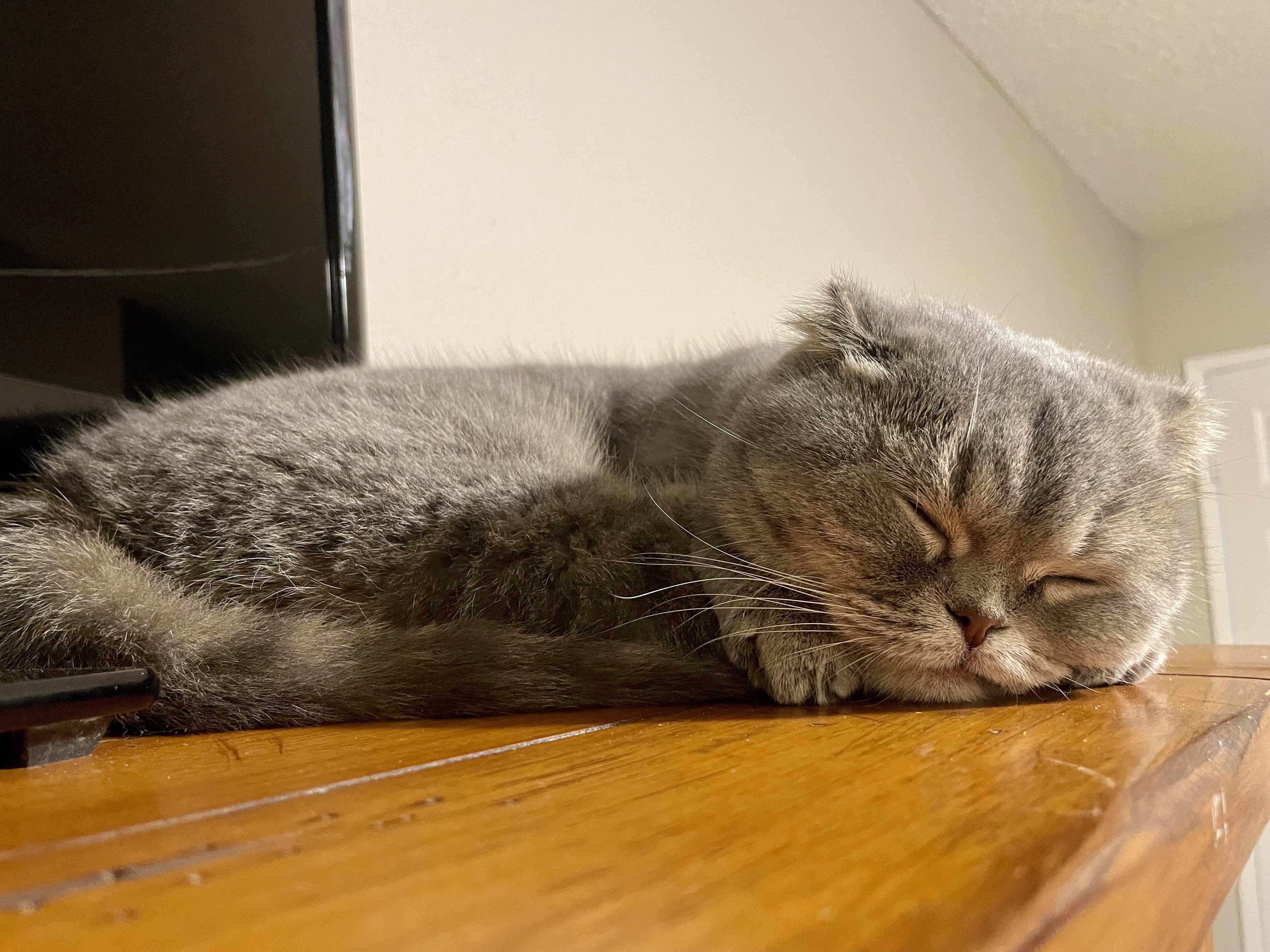 Goodnight 😴 [OC] | Scrolller