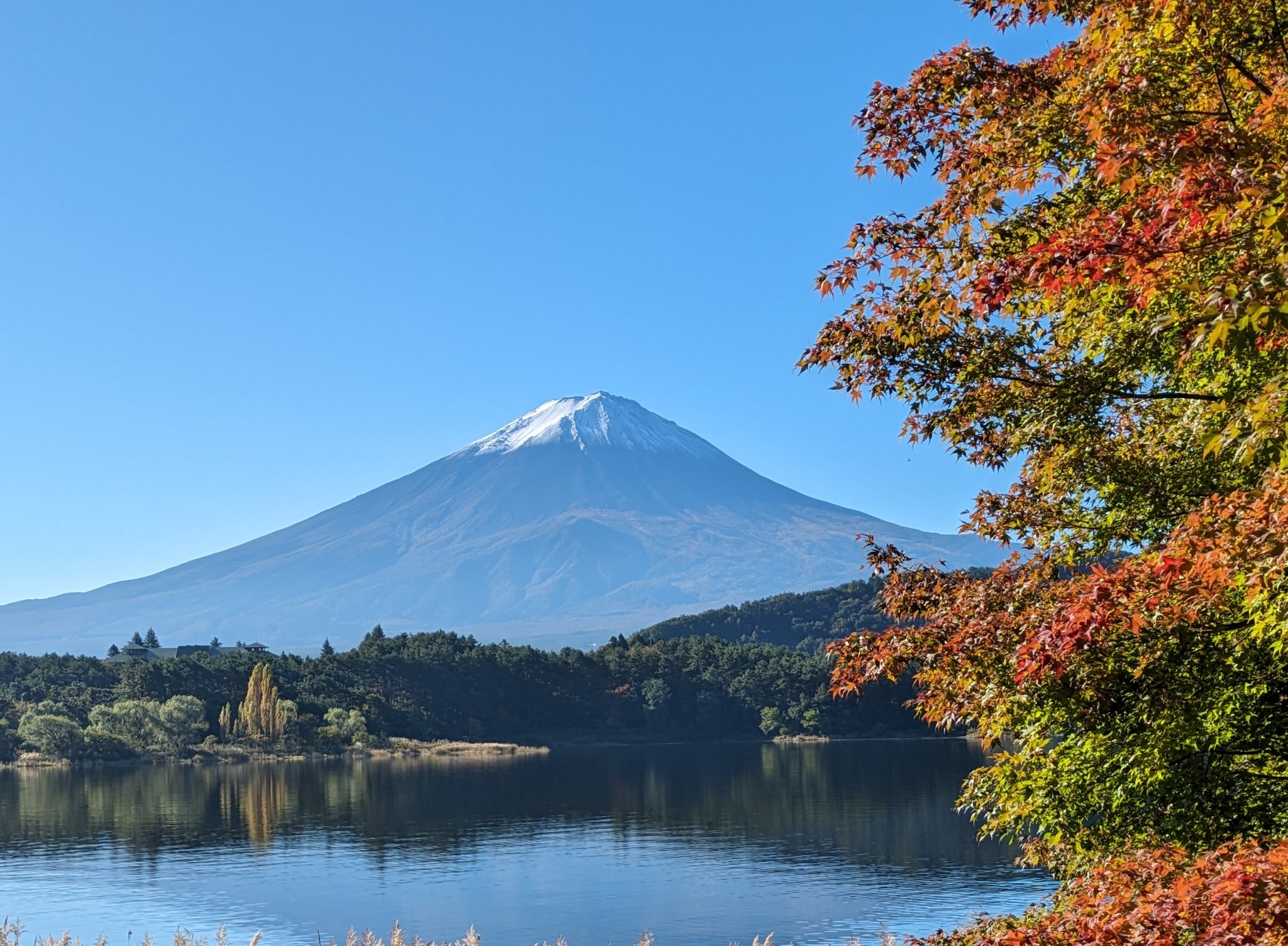 Snippets of Mt. Fuji | Scrolller