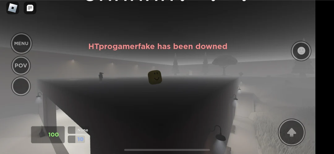 While roblox is loading i got this | Scrolller