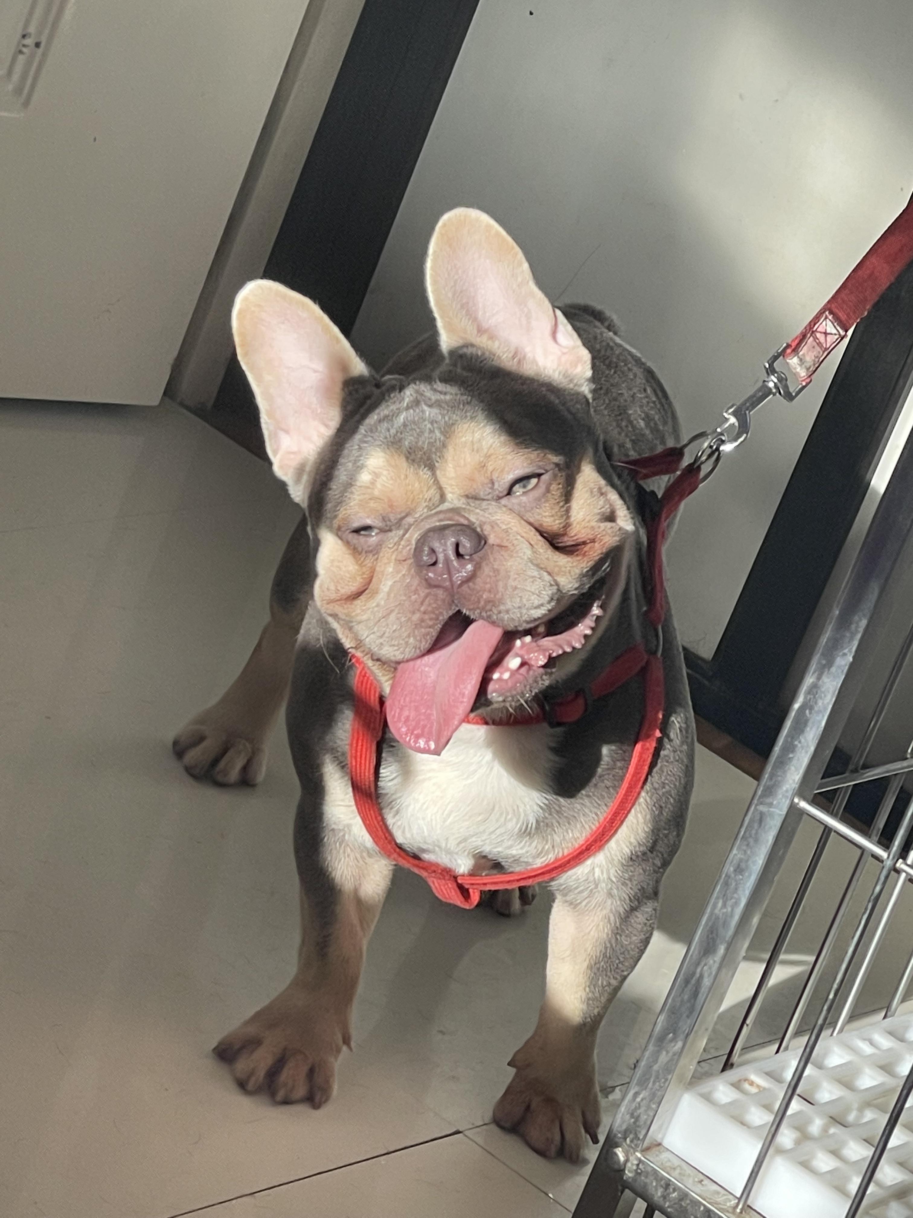 Cutiepie | Scrolller