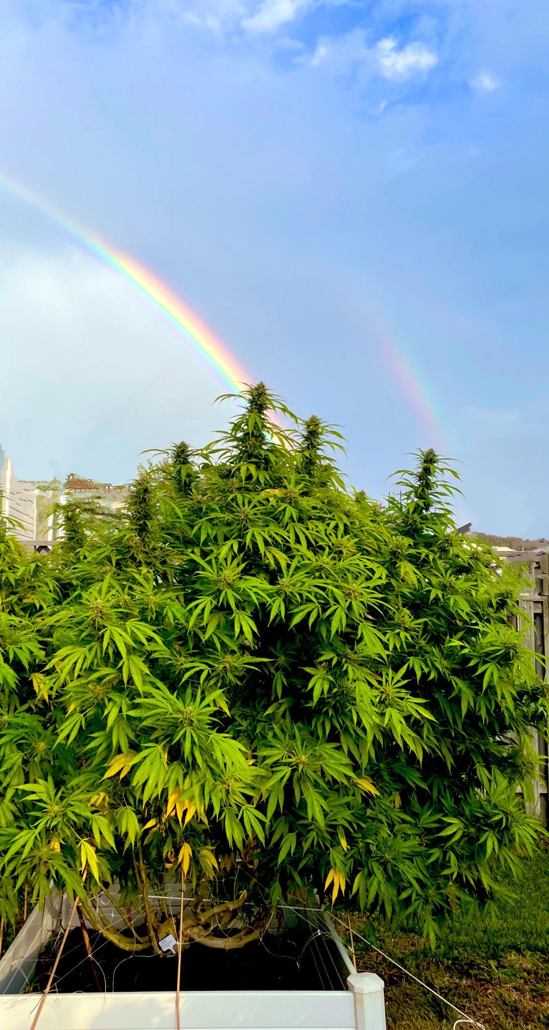 A double rainbow! | Scrolller