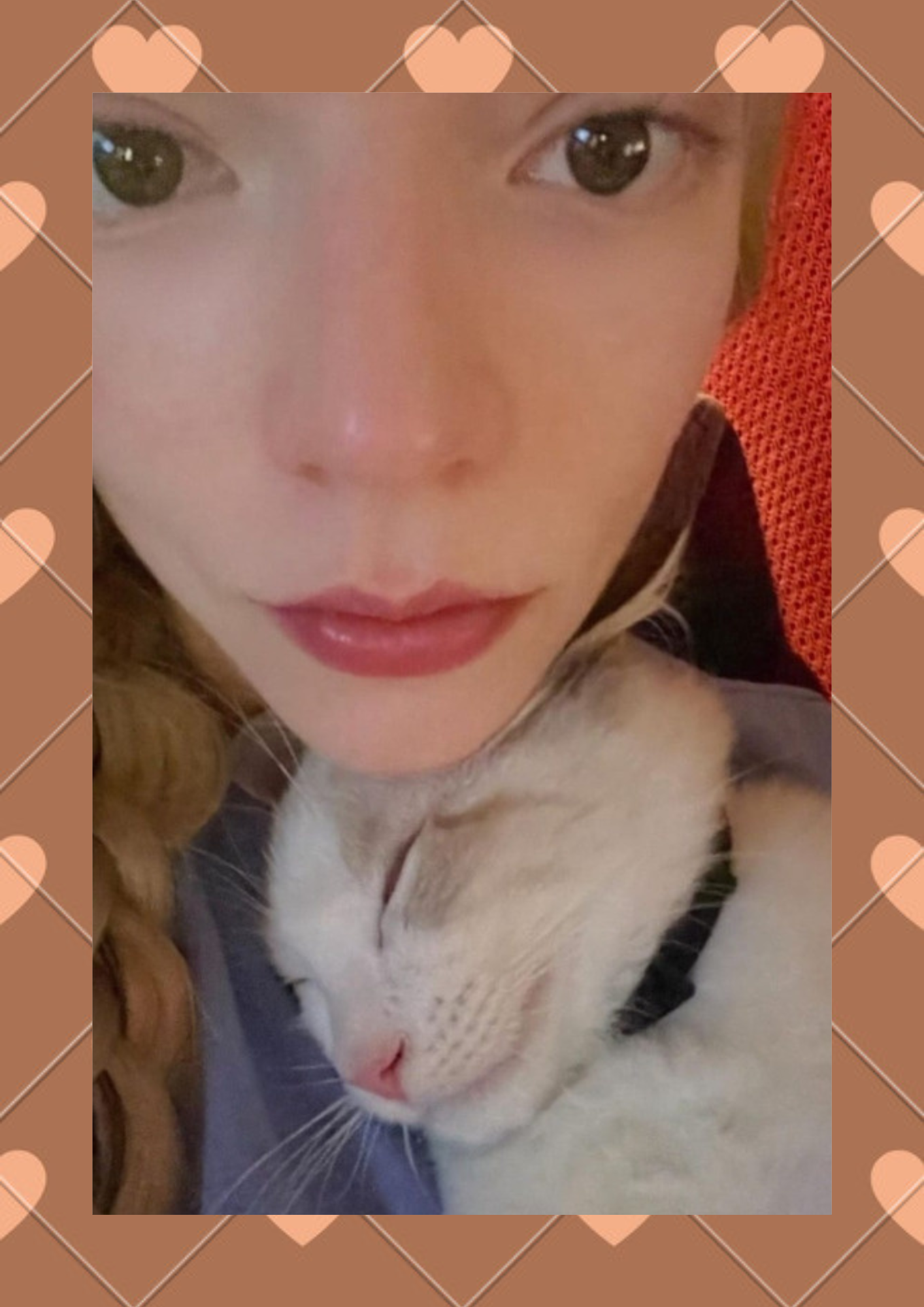 Cute as a kitten | Scrolller