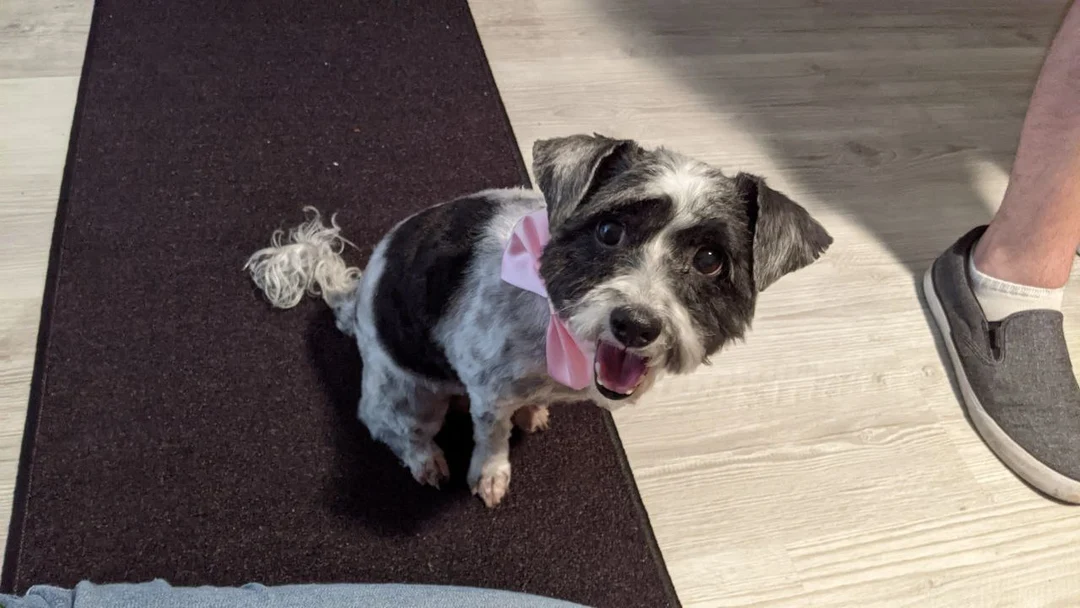 Looking fresh after her groom | Scrolller