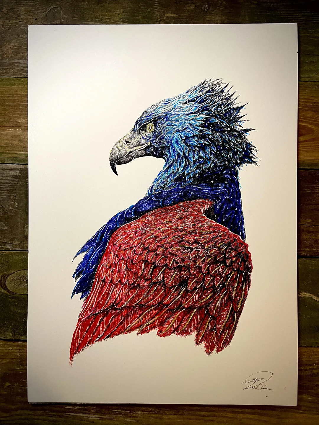 American eagle, David Esson (me) , ink/acrylic, 2024 | Scrolller