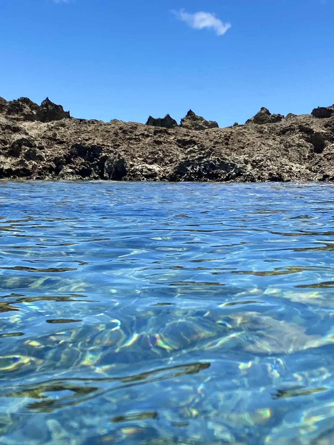 Crystal clear waters, Sharks Cove, Oahu, Hawaii [OC][4032x3024] | Scrolller