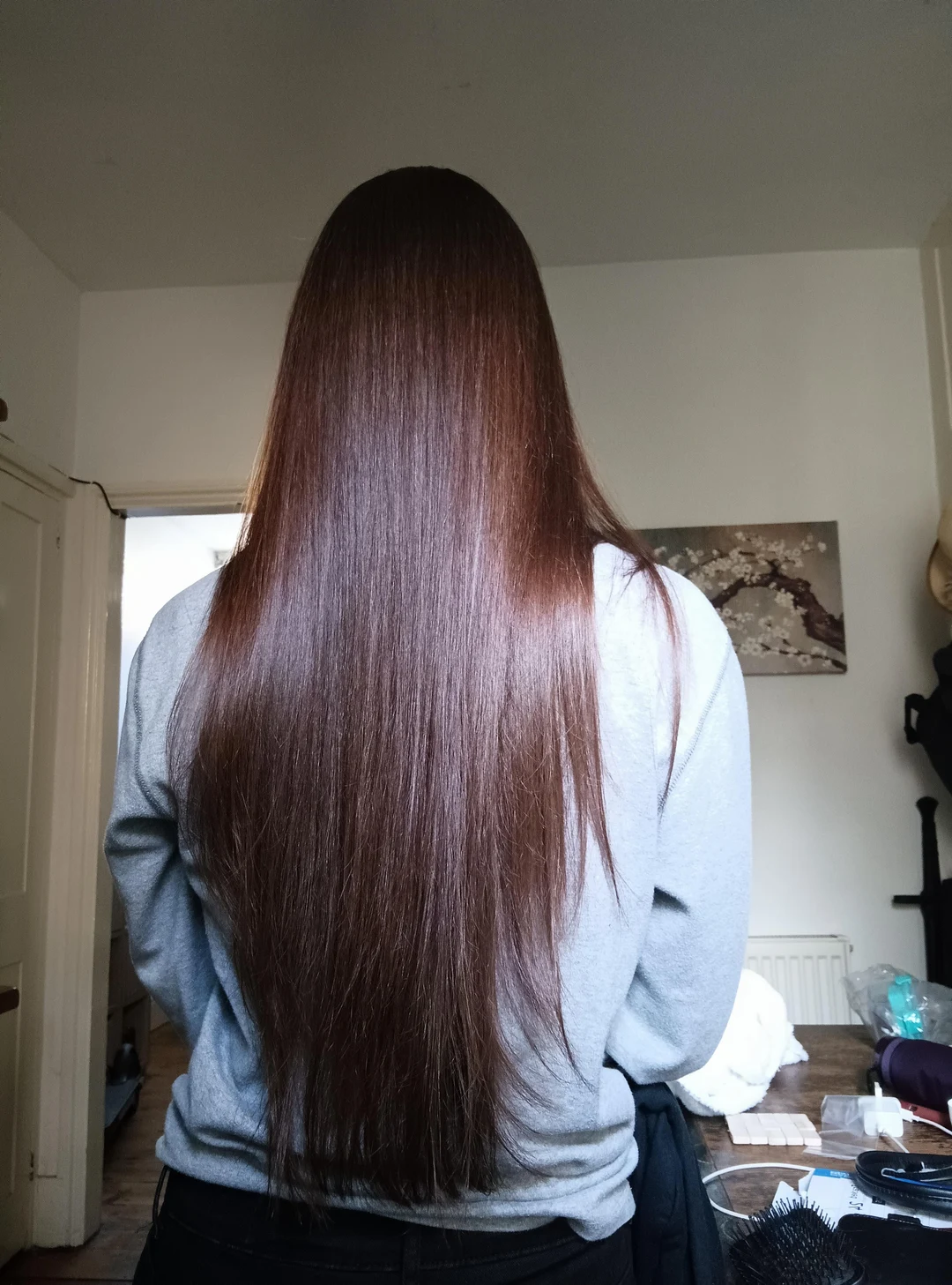 Fresh from the hairdressers. Washed, trimmed and straightened. | Scrolller