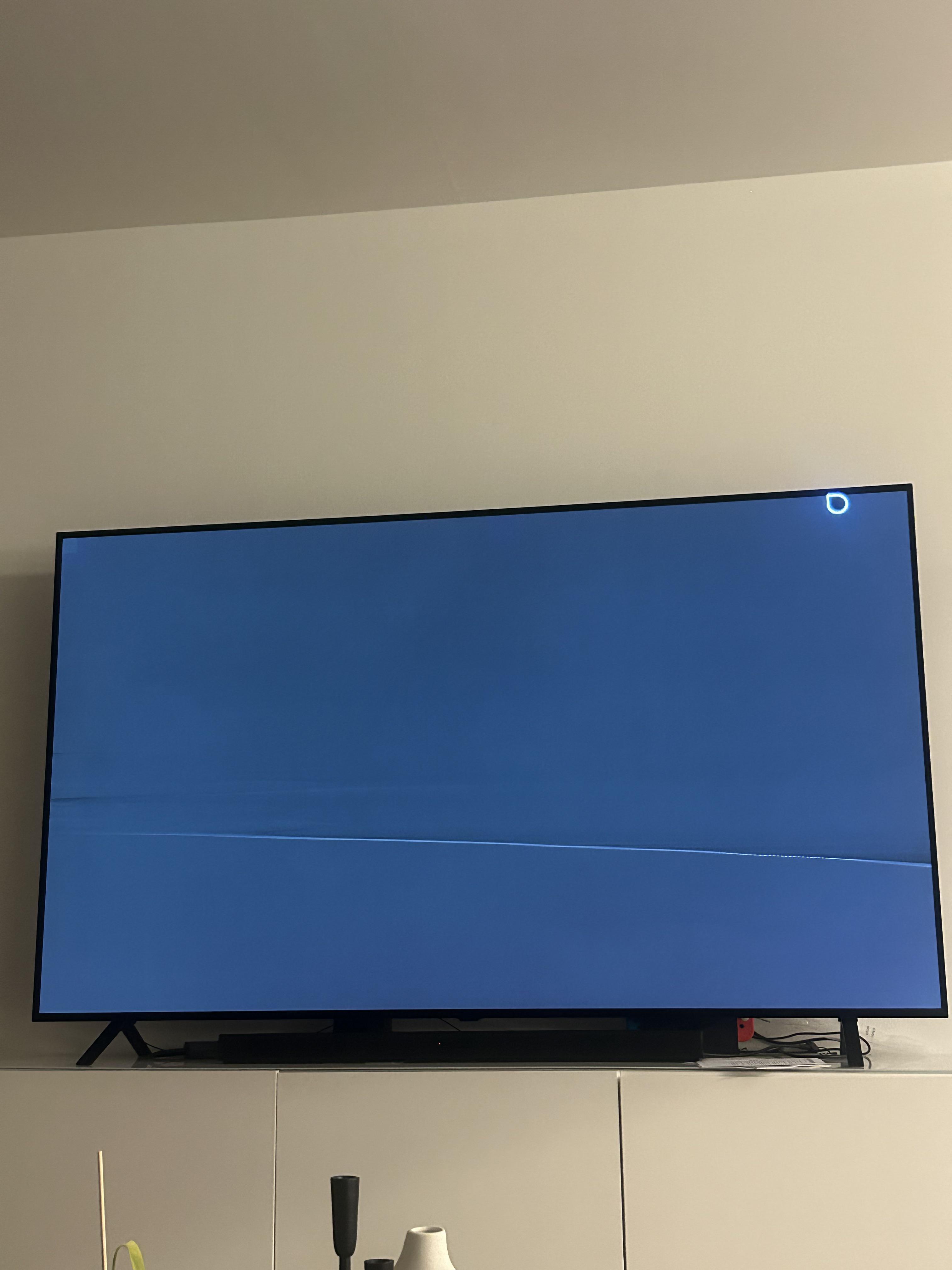 Defective OLED TV from Costco | Scrolller