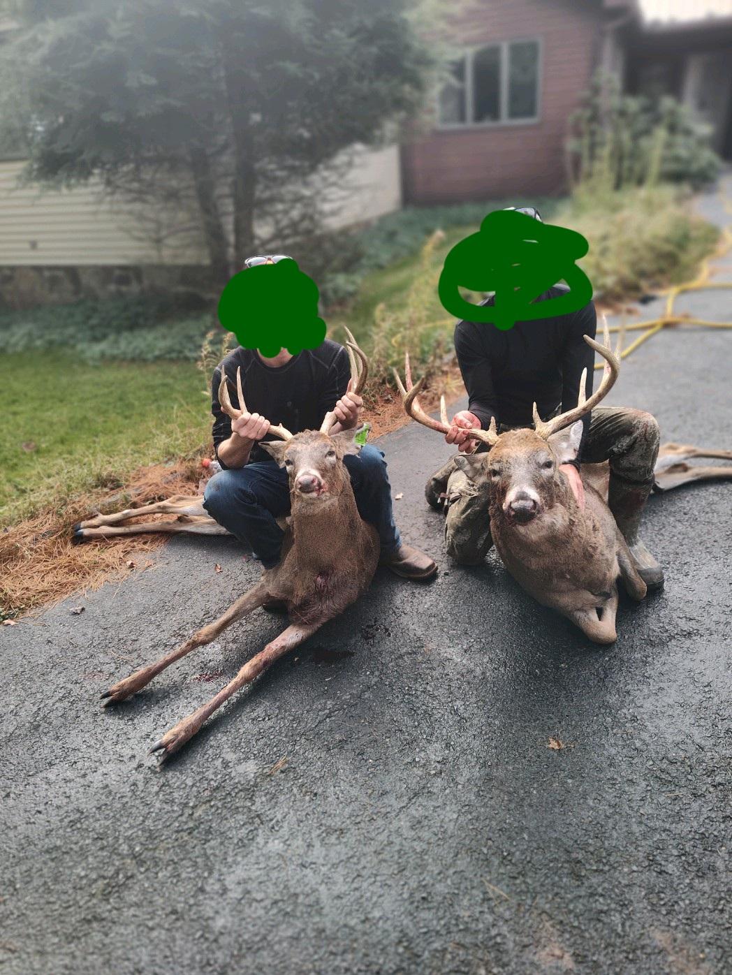Double up this morning in Pennsylvania | Scrolller