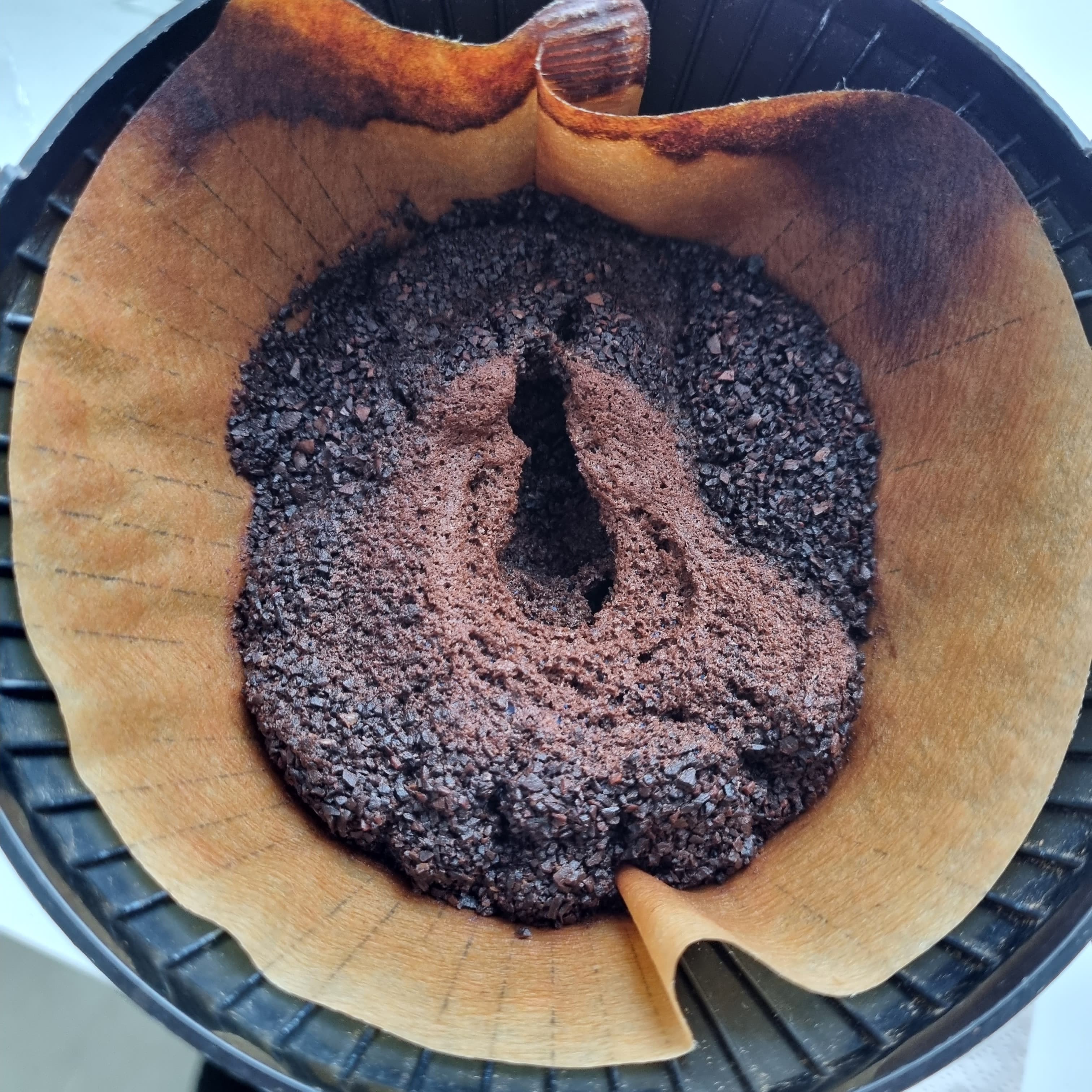 Nope, not my cup of... coffee | Scrolller