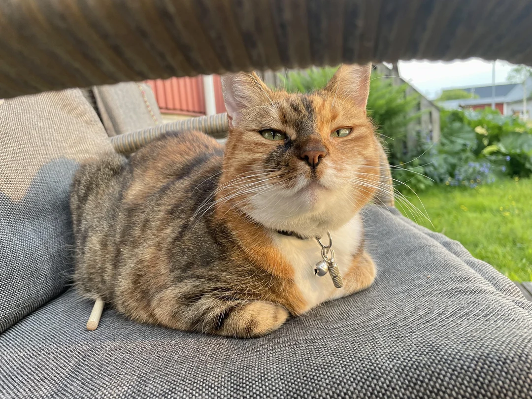 Sun baked loaf | Scrolller