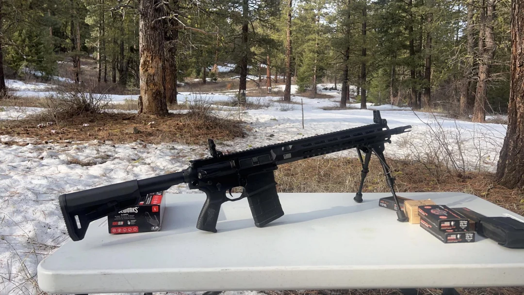 My first AR-10 and now my favorite gun. | Scrolller