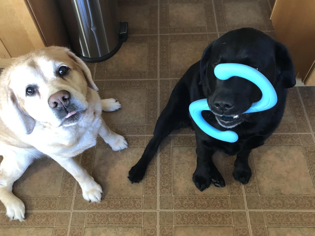 Double Derp | Scrolller