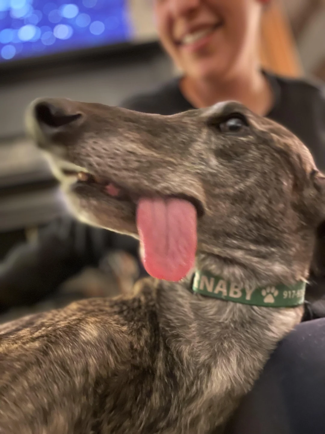 Happy 👅tot from barnaboodle | Scrolller