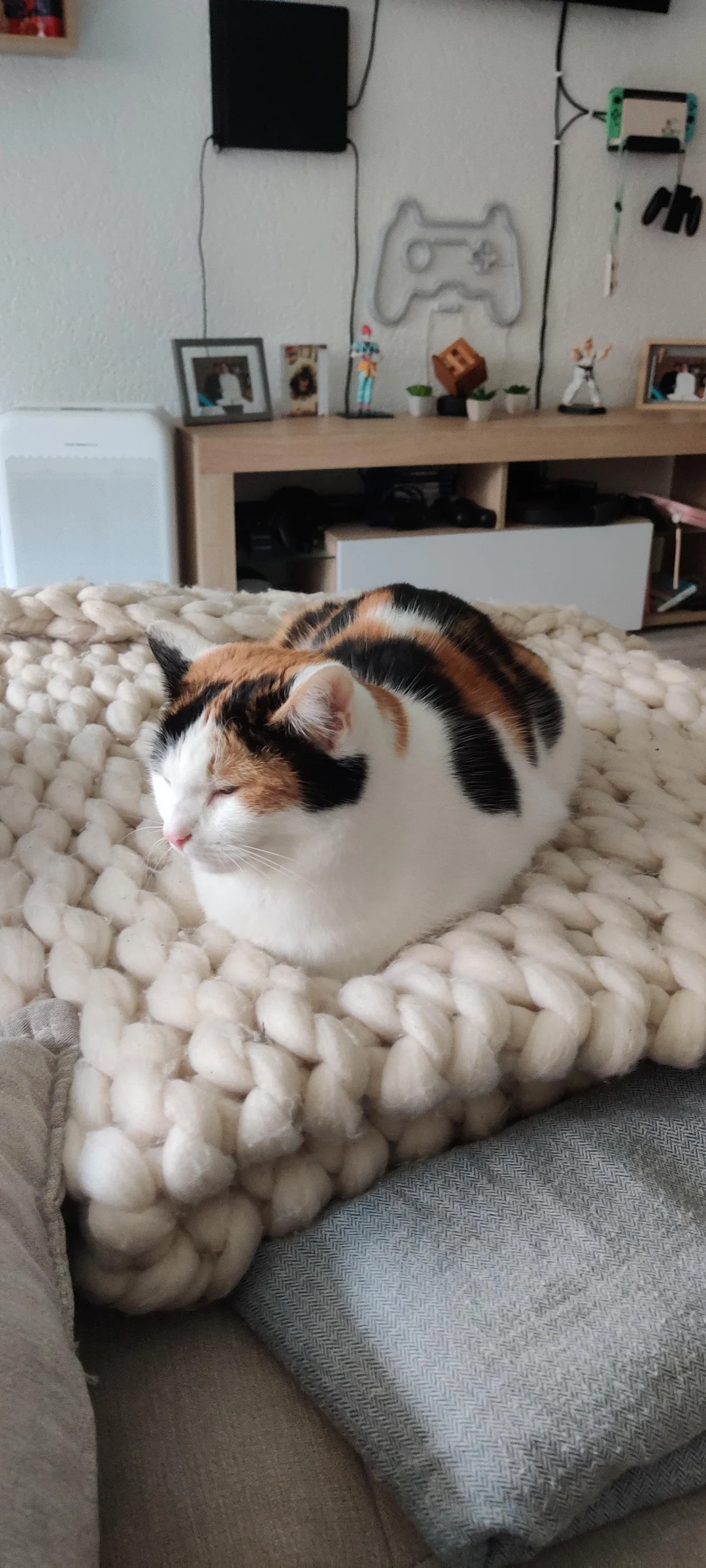 Discover more like Catloaf: This may be the best loaf she has ever made yet and Related Content ...