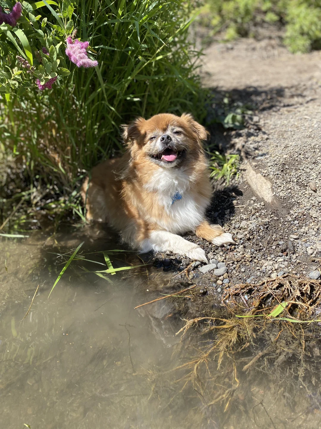 Relaxing by the river | Scrolller