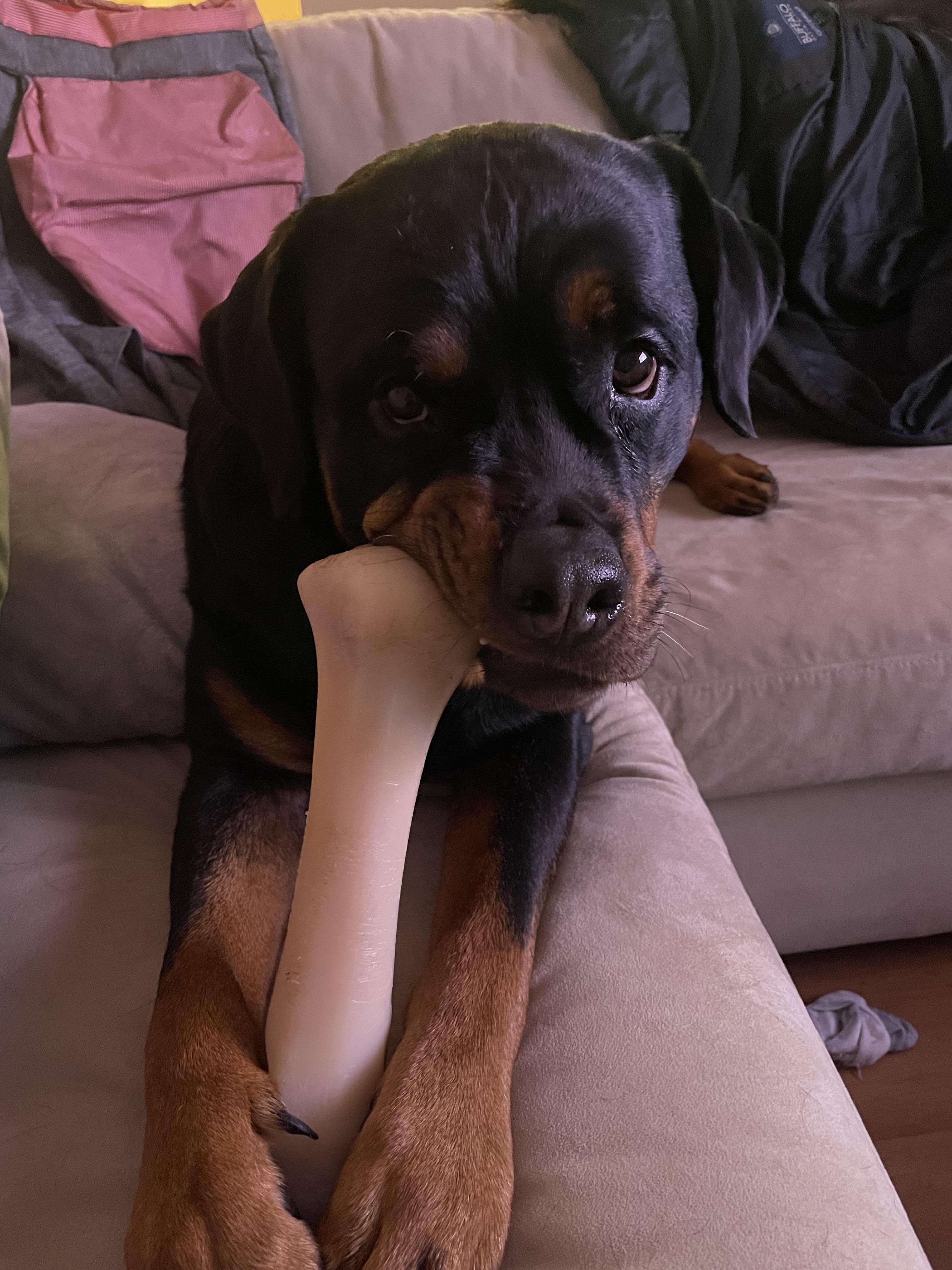 Here’s my Luna | Scrolller