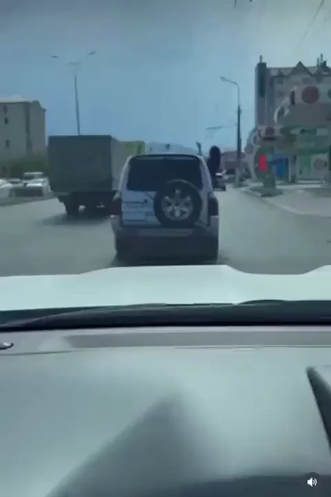 HMC while dancing in the car window. | Scrolller