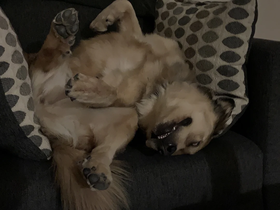 This is Midna. She’s a weirdo. | Scrolller