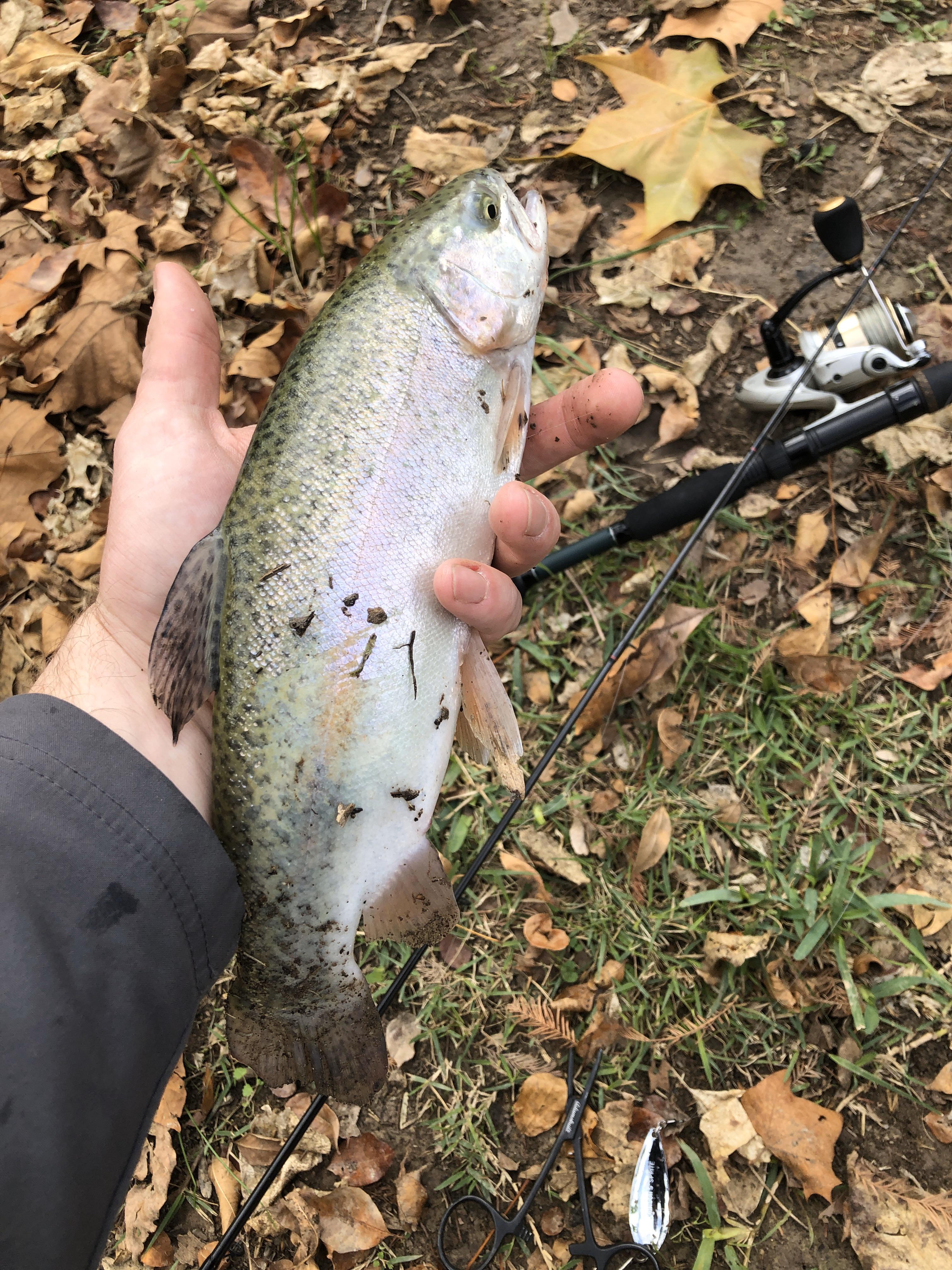 Beautiful Guadalupe rainbow | Scrolller