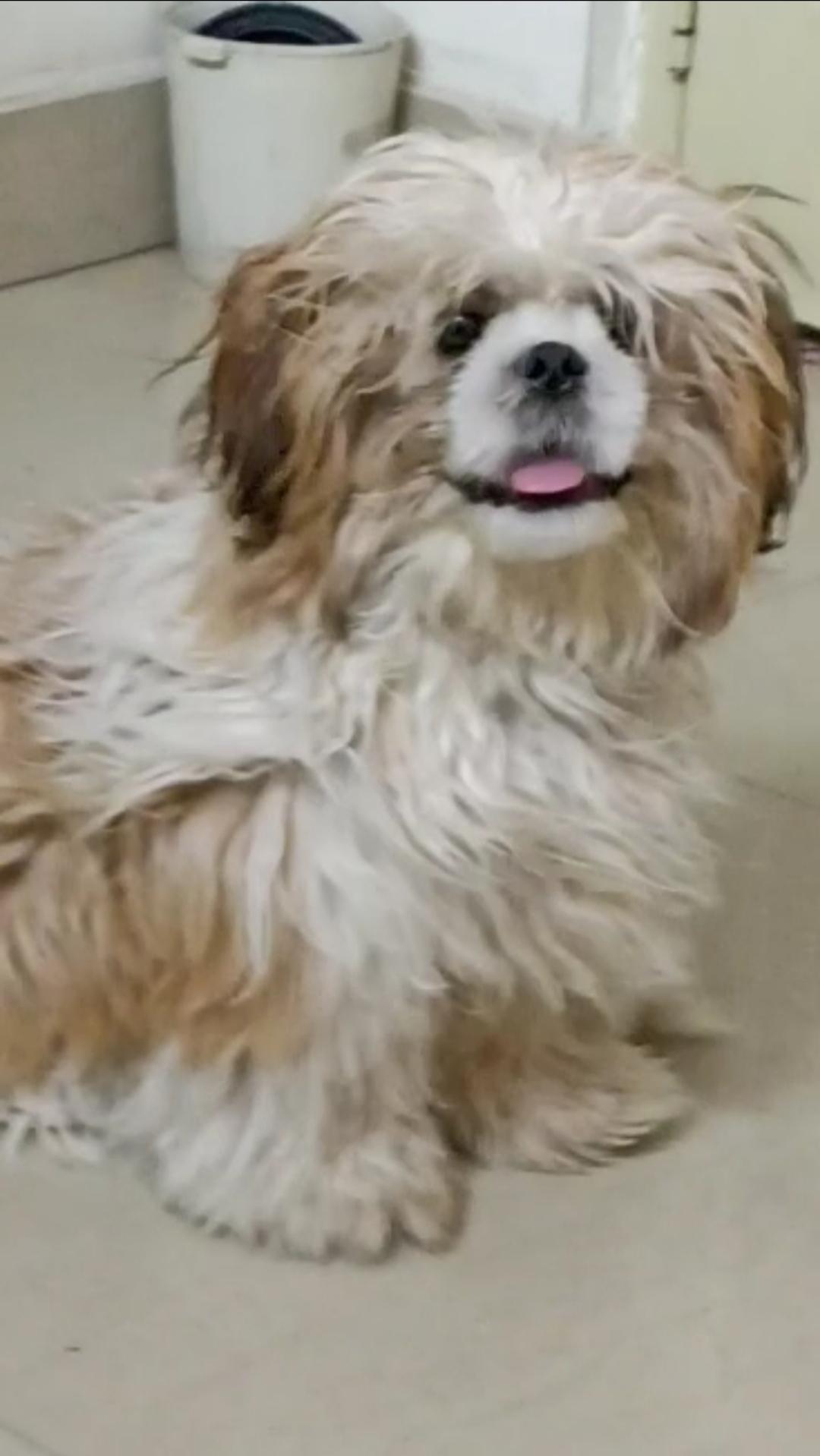 So much floof | Scrolller