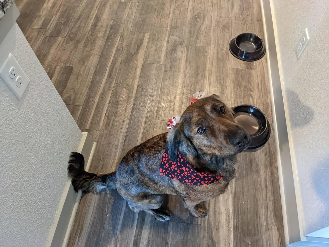 After the groomer | Scrolller