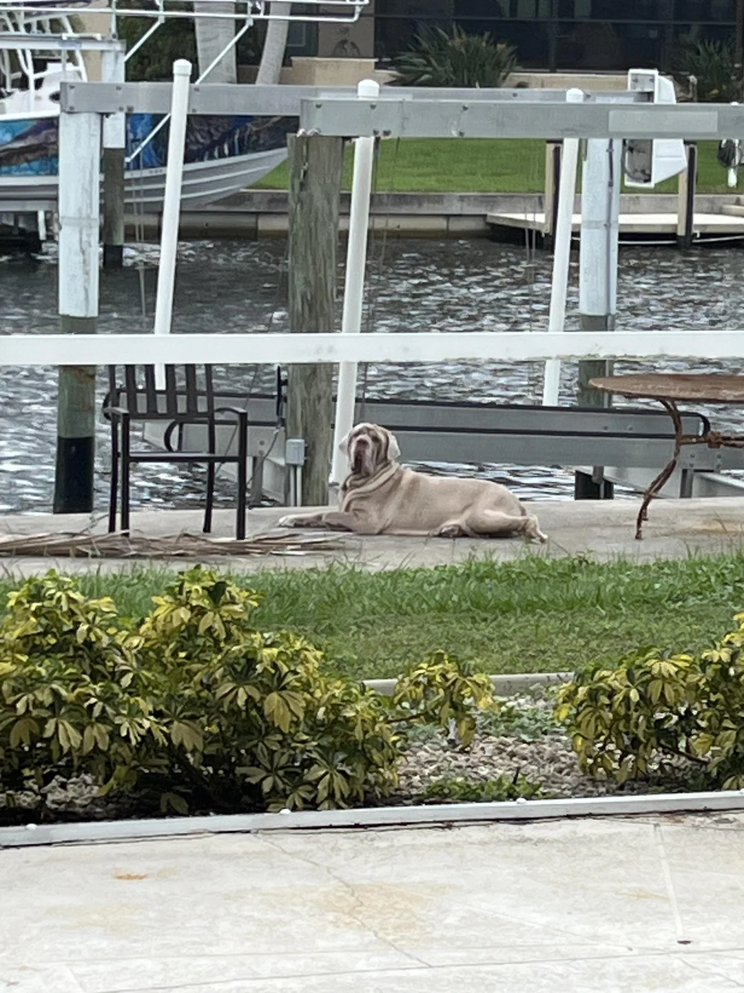 Where’s the boats??? Oh Carmela Marie.. | Scrolller