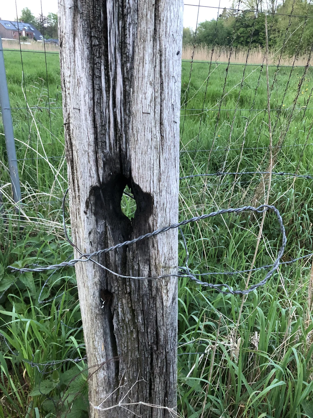 The temptation is real… | Scrolller