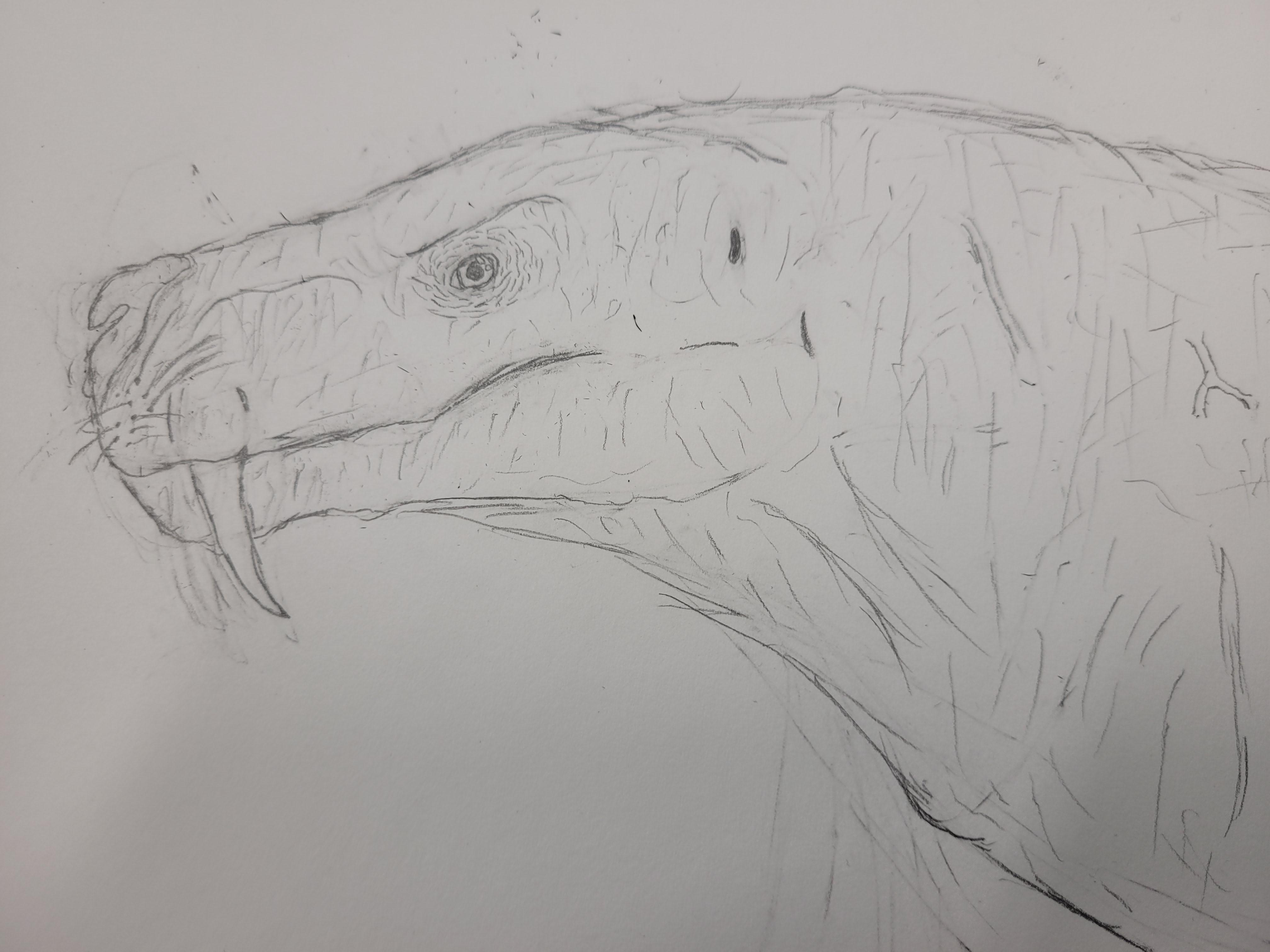 First attempt at skin texture. | Scrolller