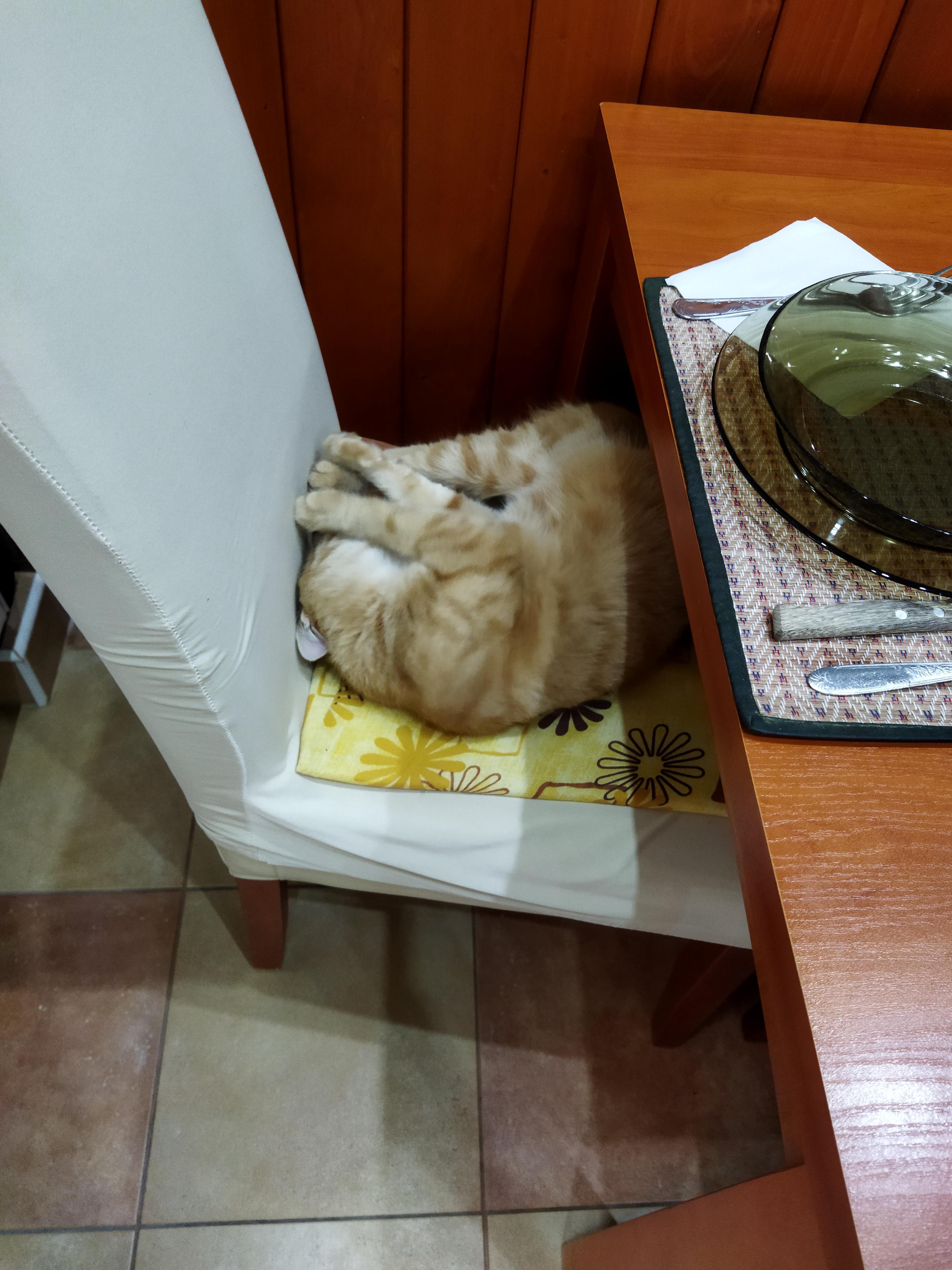 Louis sleeping in the weirdest positions as always | Scrolller