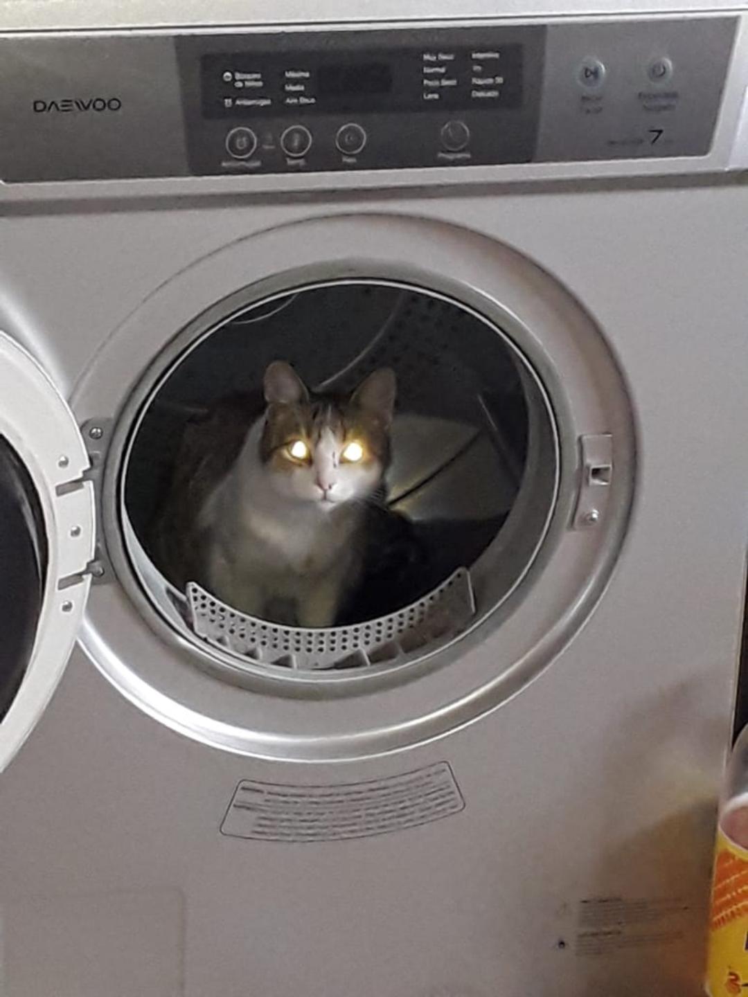 What she doing there | Scrolller