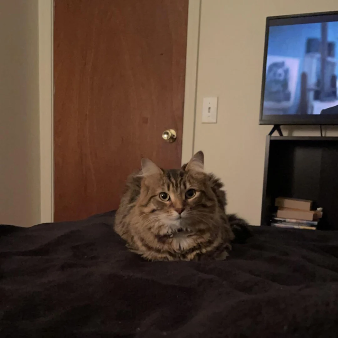 SNL: Saturday Night Loaf | Scrolller