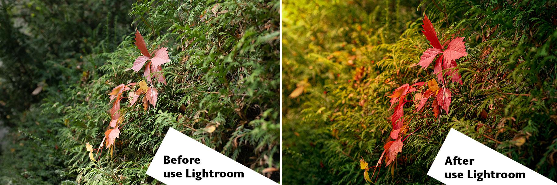 Editing in Lightroom before and after | Scrolller