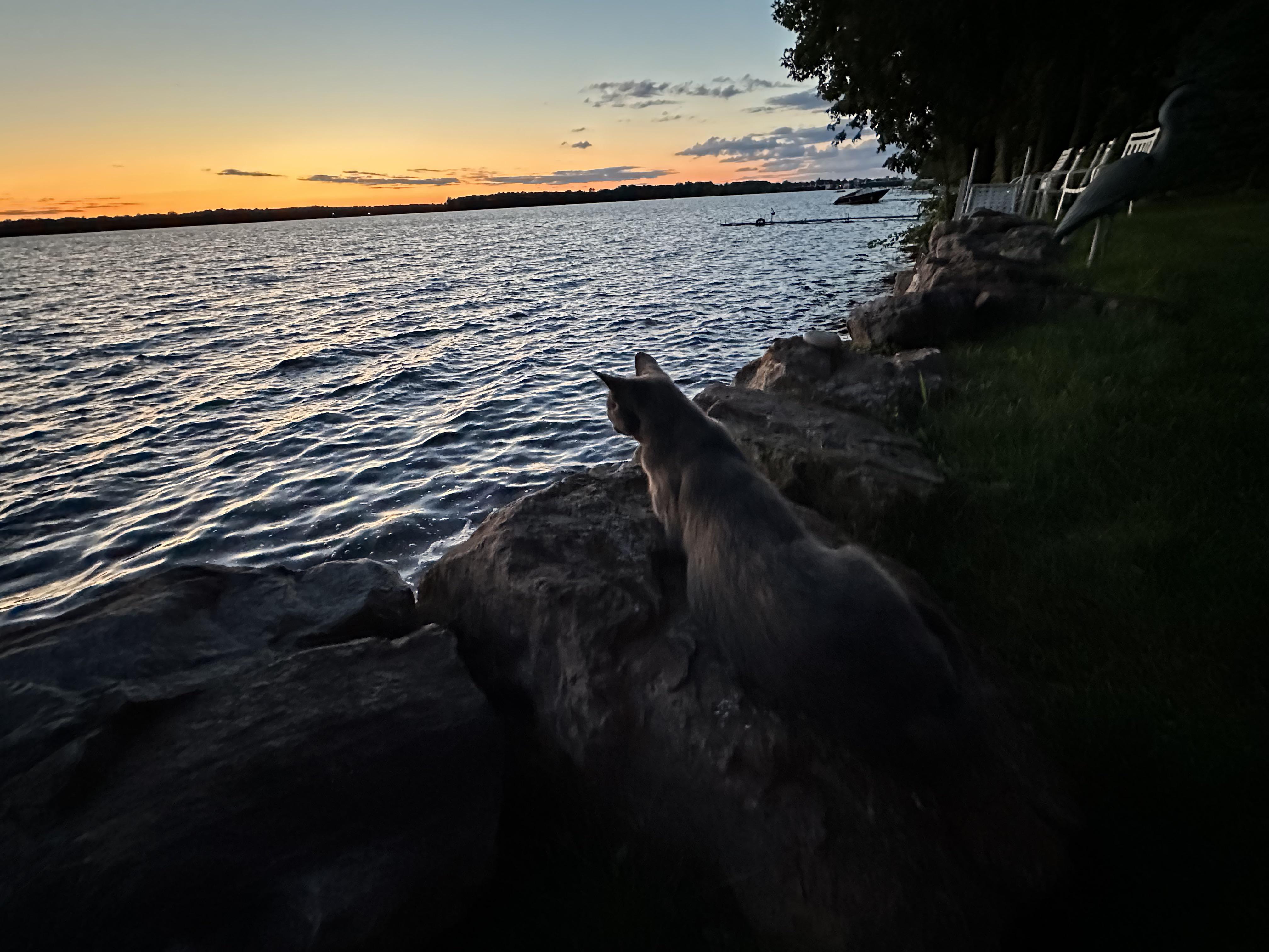 Pebbles enjoying the sunset | Scrolller