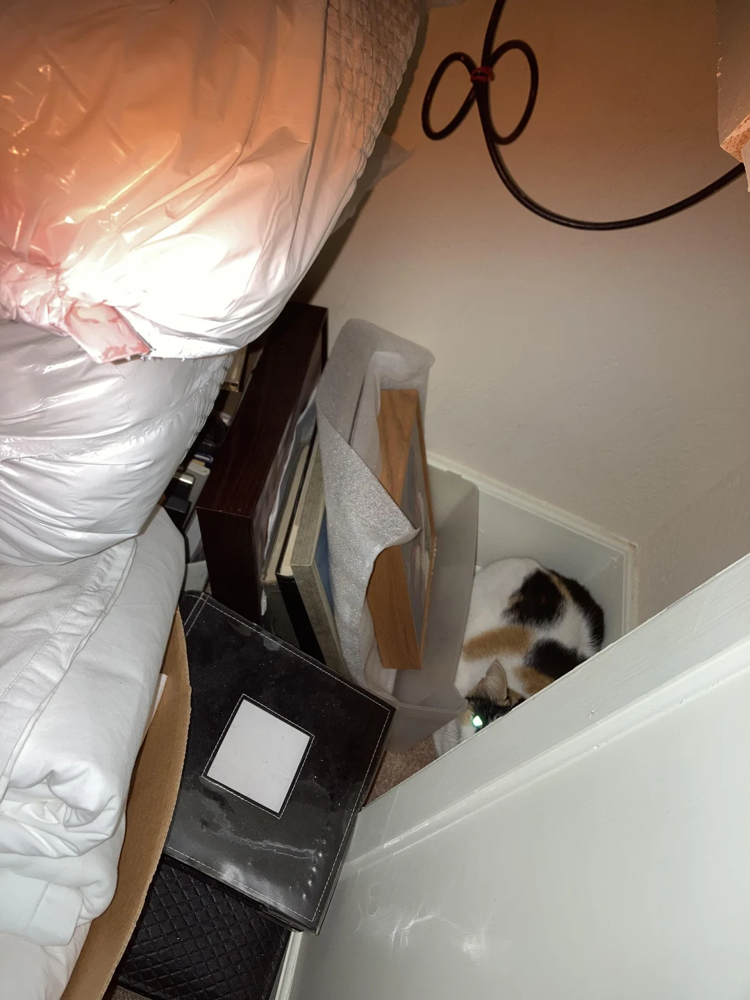 In the closet corner | Scrolller