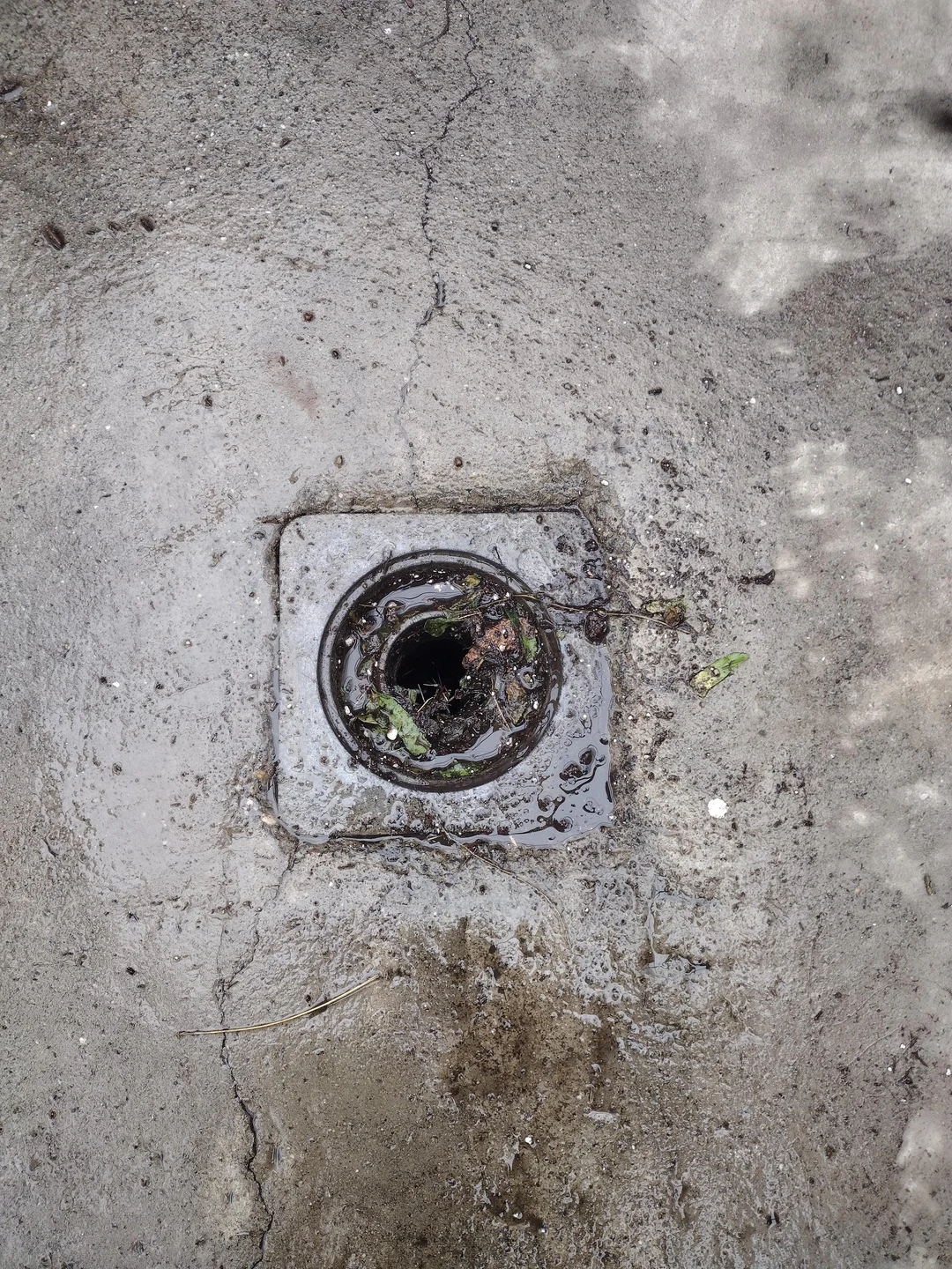 drain pipes | Scrolller