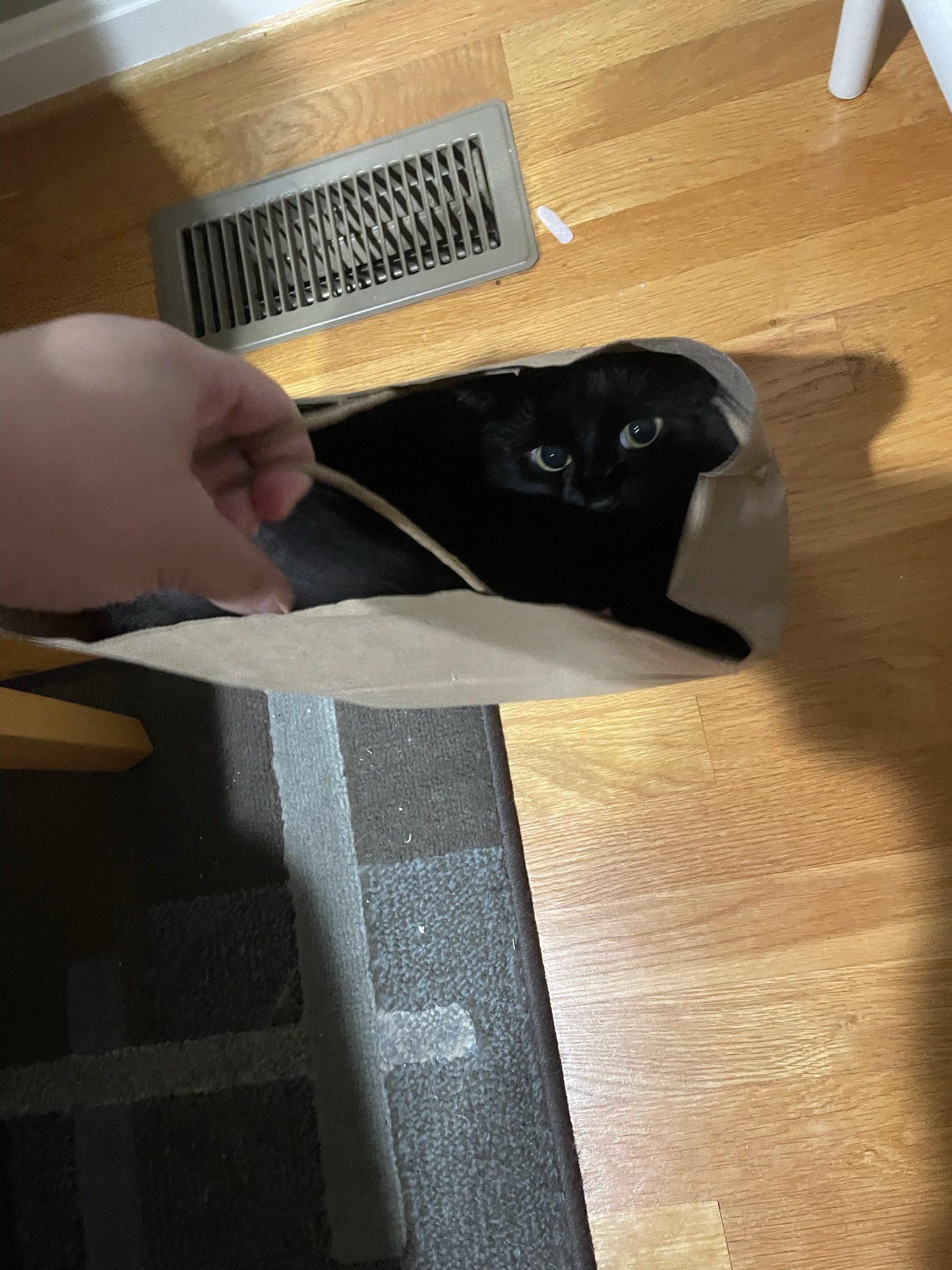 Bagged Void | Scrolller