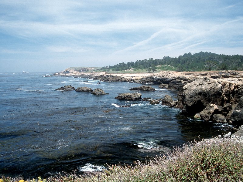 Point Lobos State Natural Reserve, Carmel-By-The-Sea California | Scrolller