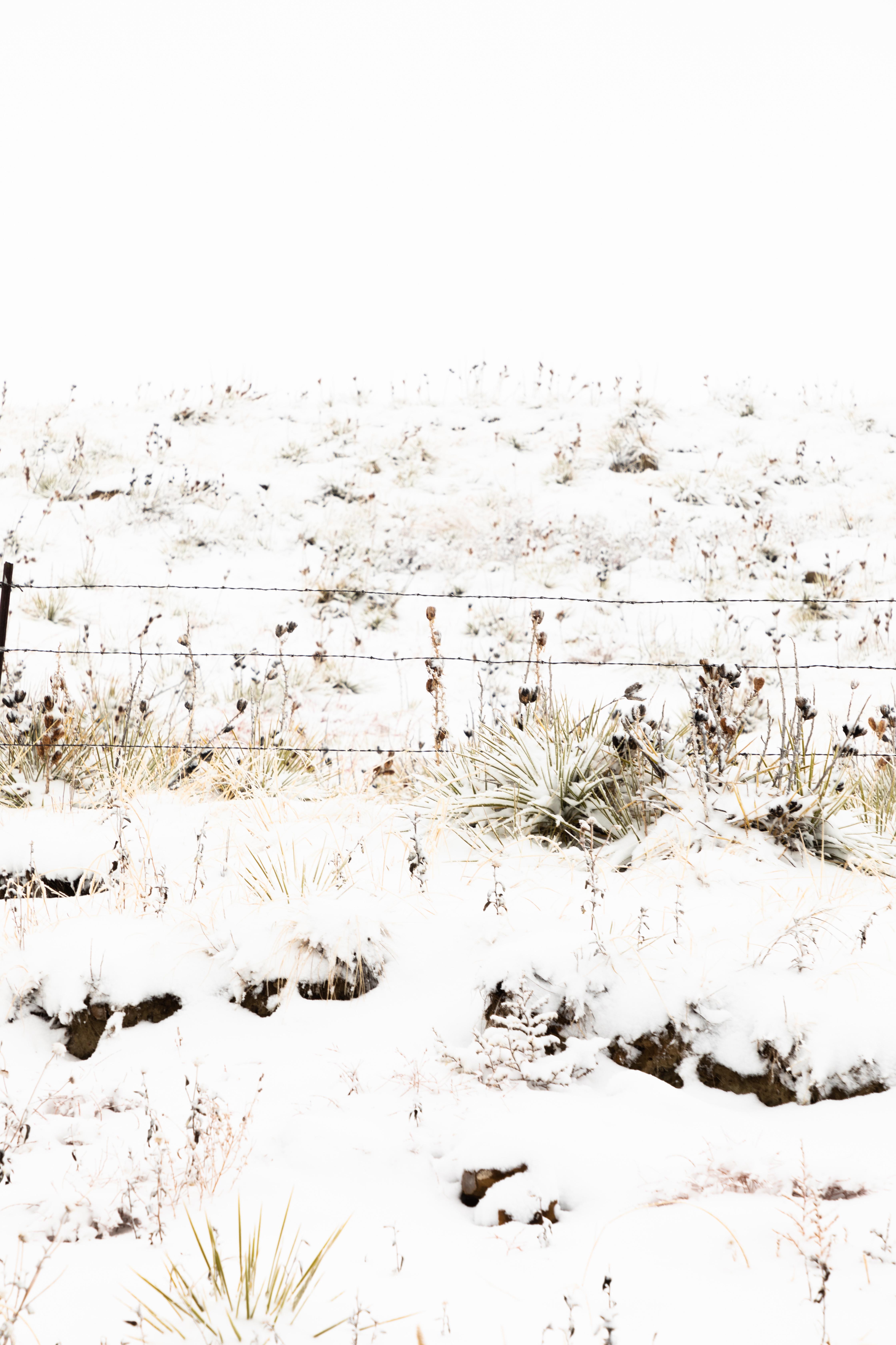 Prairie Hillside [OC] | Scrolller