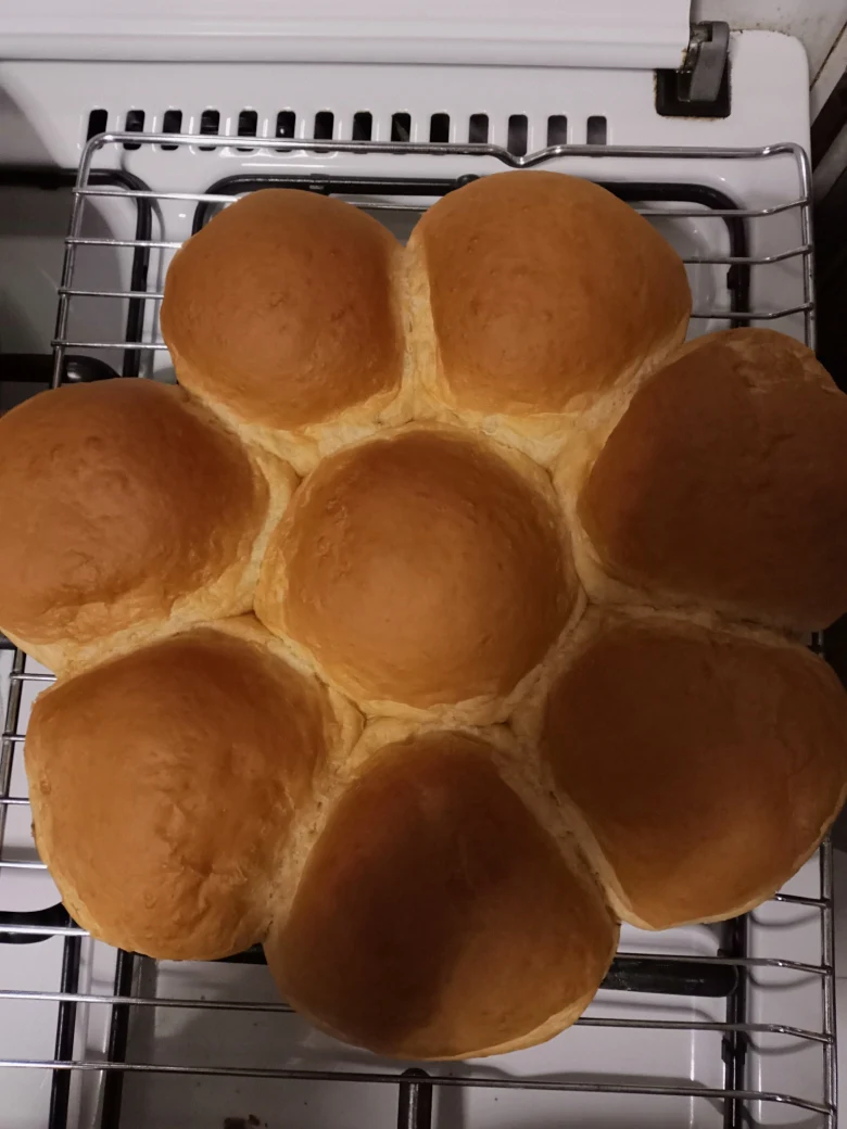 Fluffy buns | Scrolller