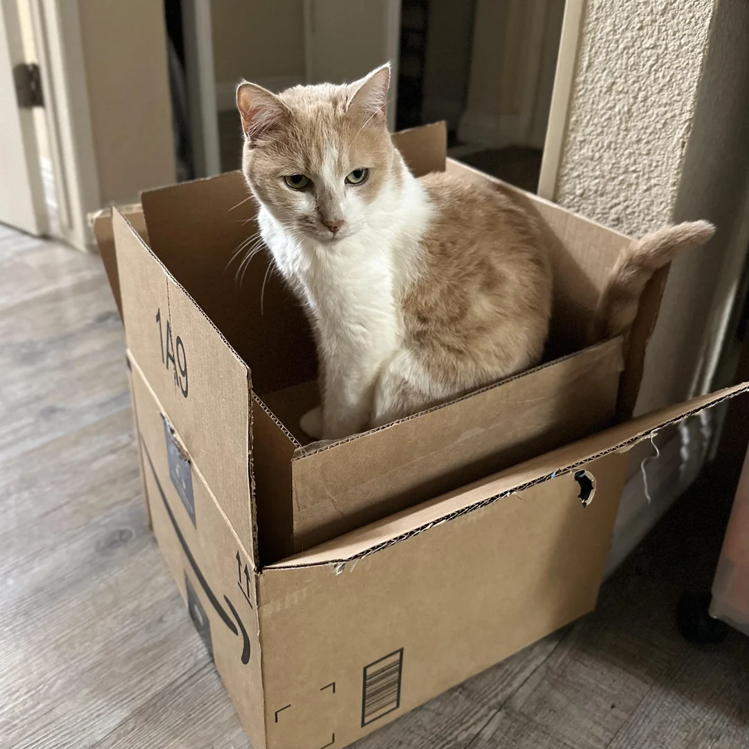 Bonnie fell for a lofty trap! | Scrolller