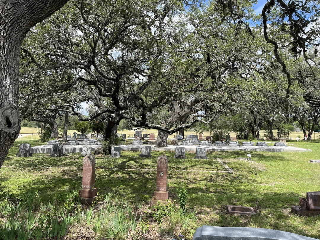 Lovely day in the cemetery | Scrolller