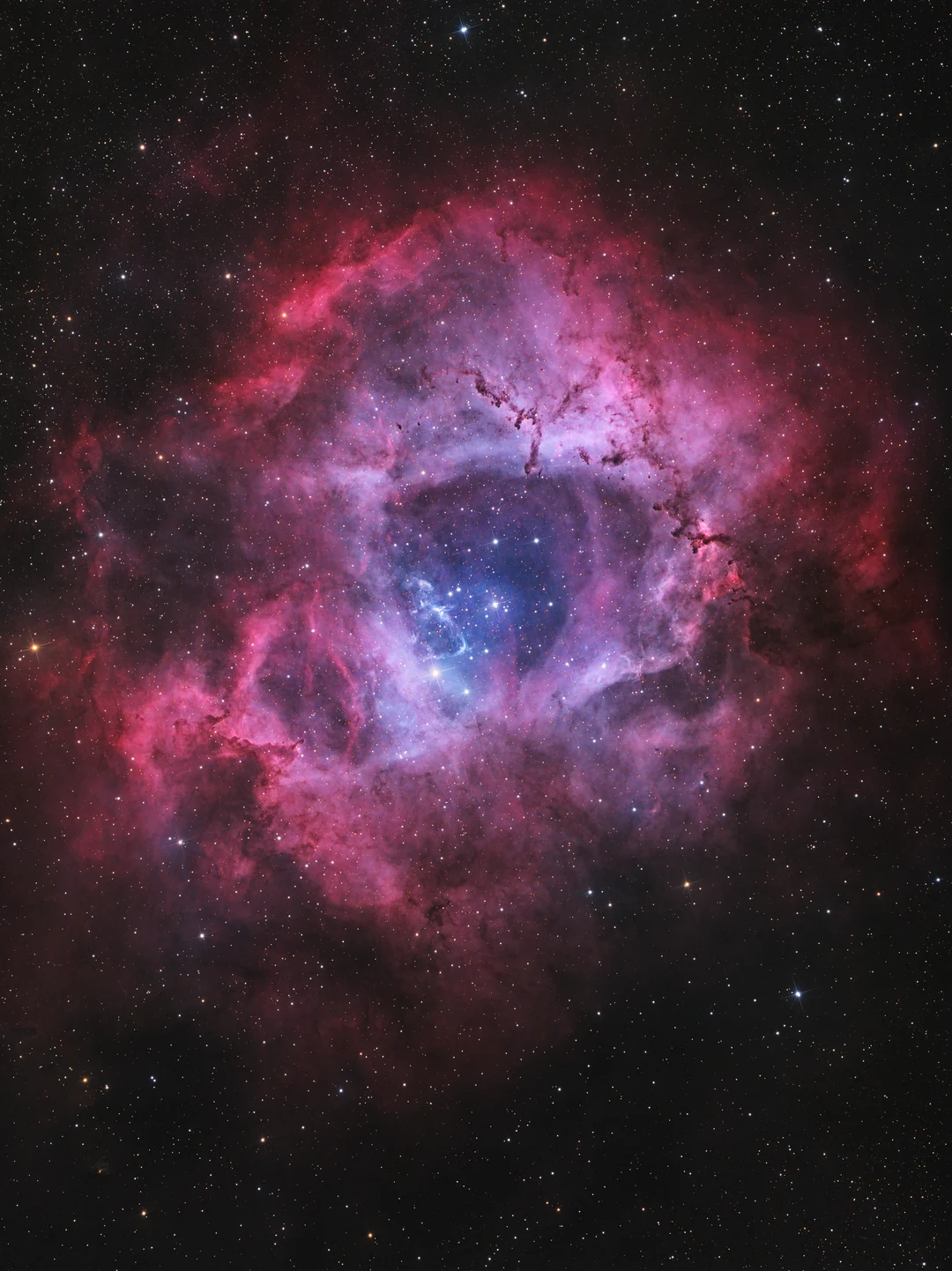 My image of the Rosette Nebula that resembles the shape of a human skull, taken from my backyard ...