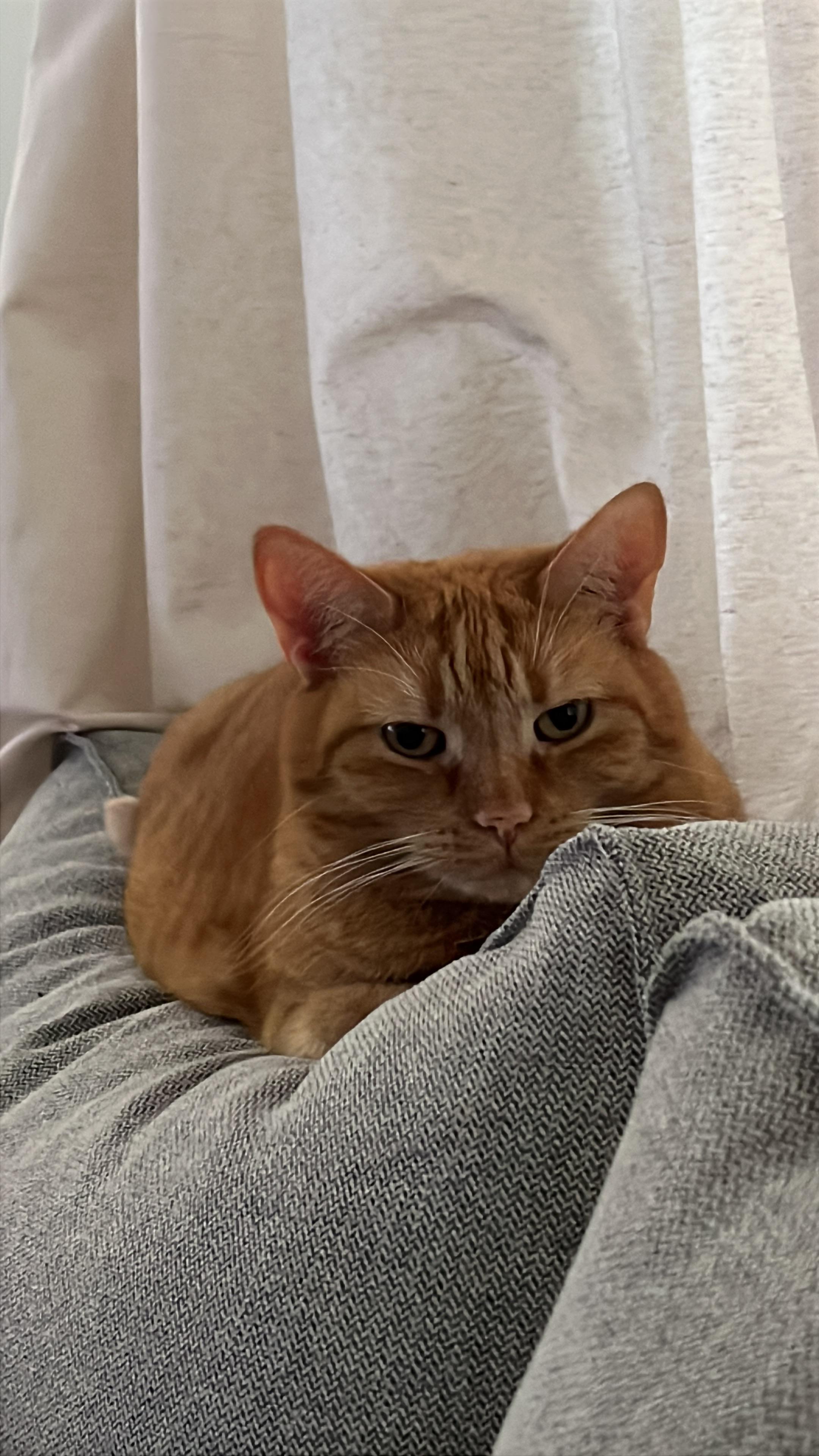 Madam was angry | Scrolller